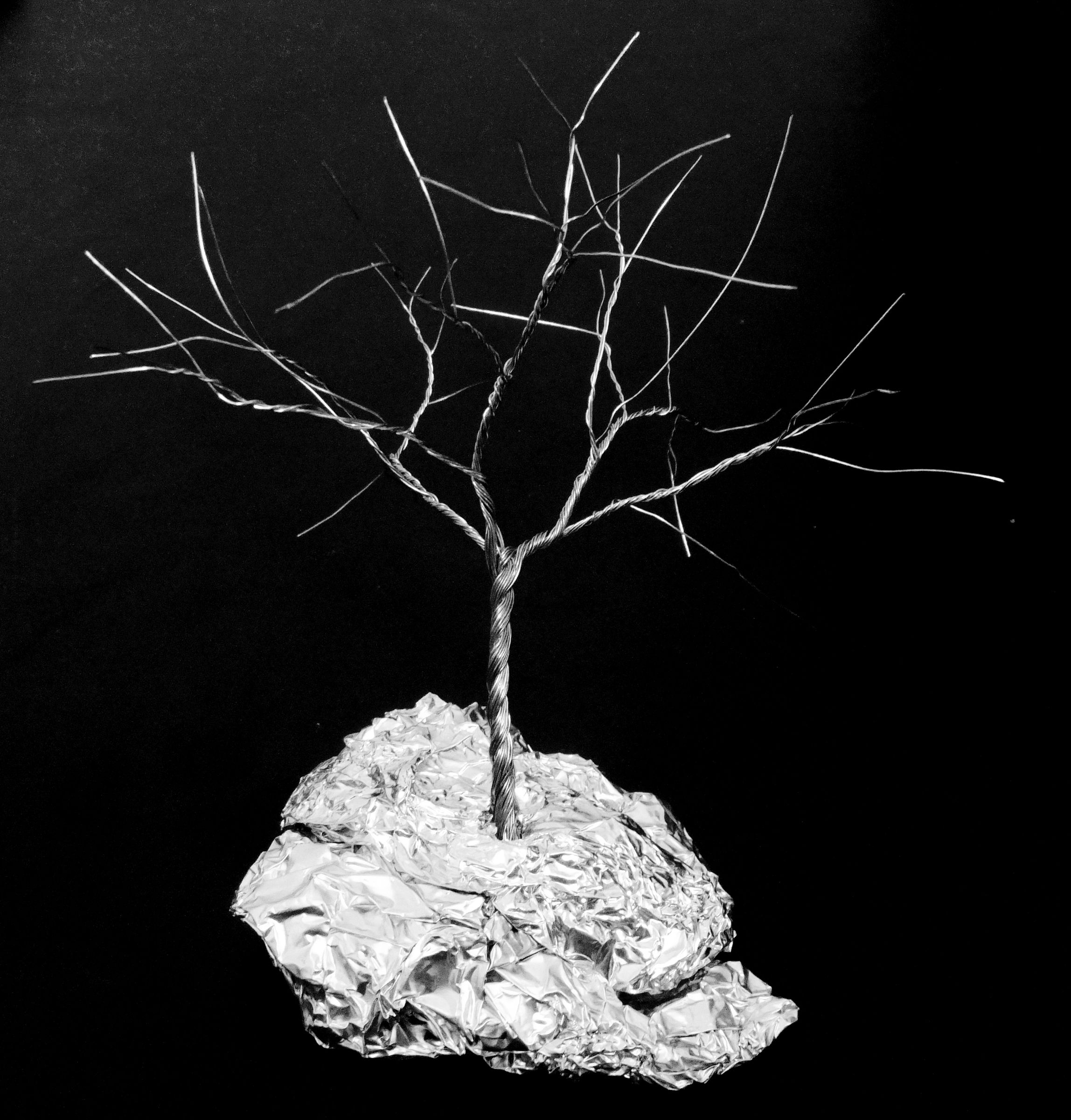 Architecture Models Trees