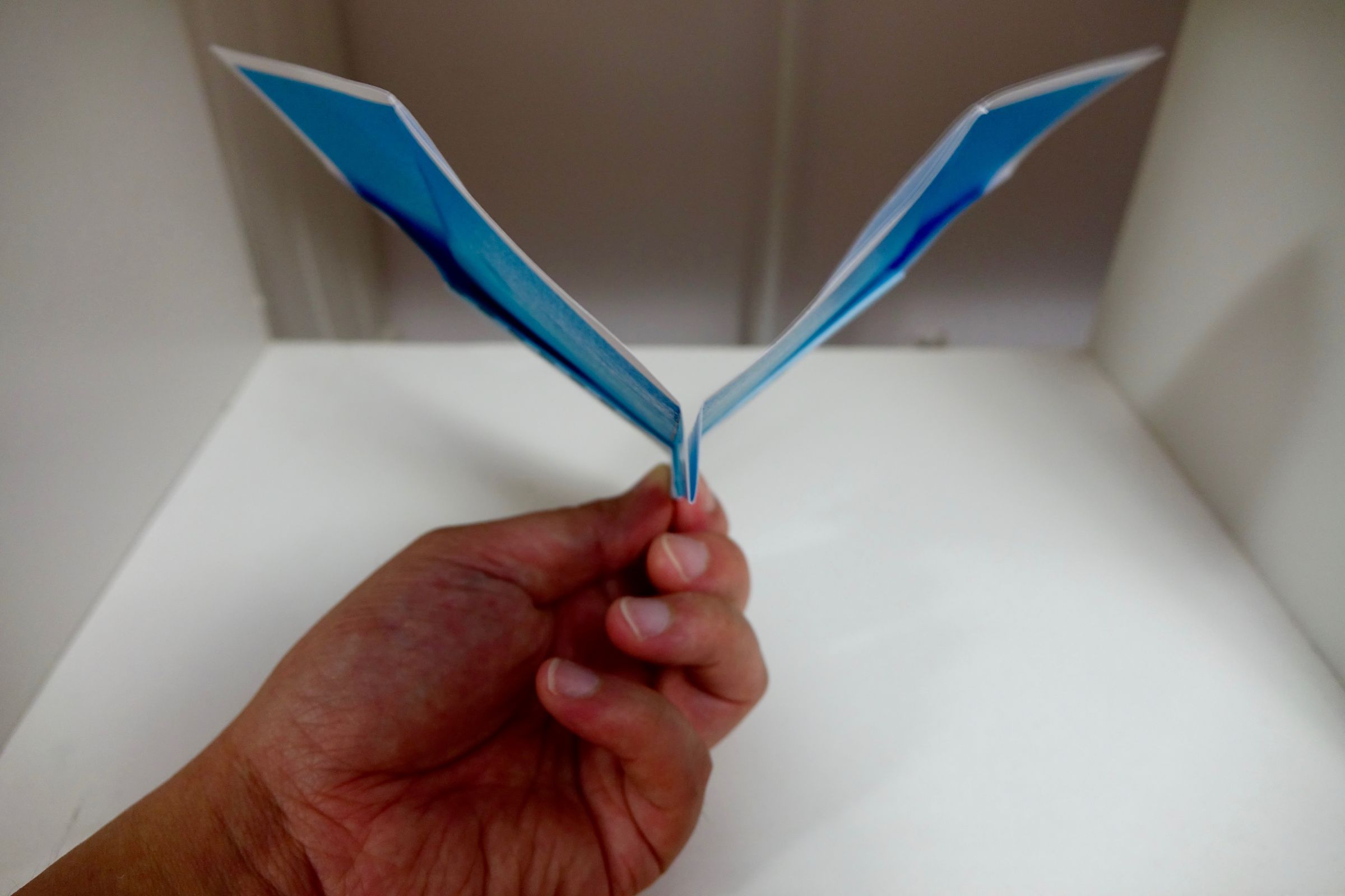 Flapping Paper Plane (Print Version) : 15 Steps (with Pictures ...