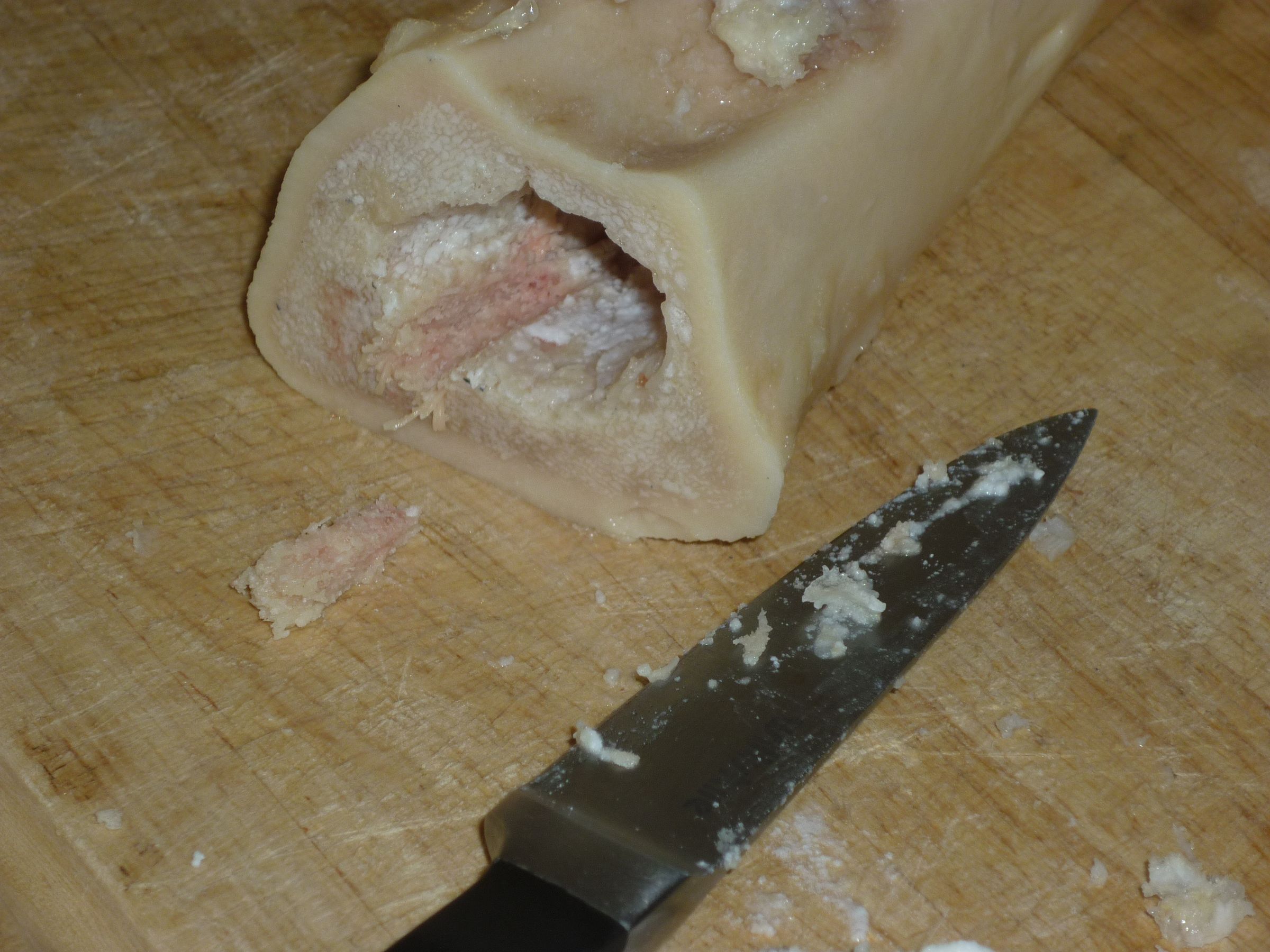 Prepare Bone for Carving : 8 Steps - Instructables
