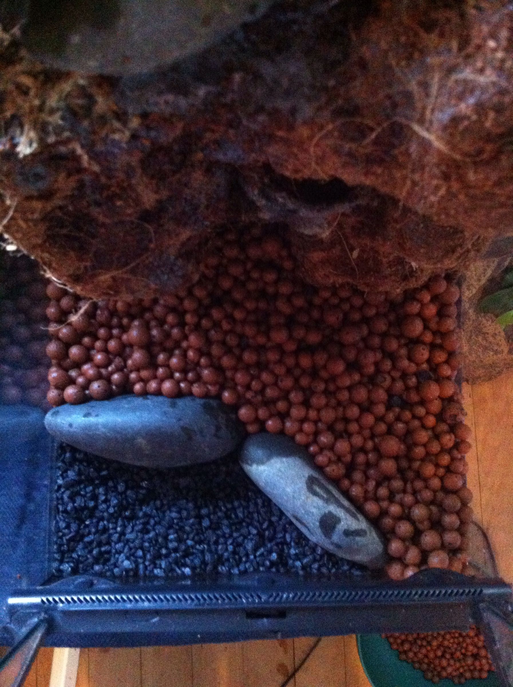 Terrarium/Vivarium Setup : 8 Steps (with Pictures) - Instructables