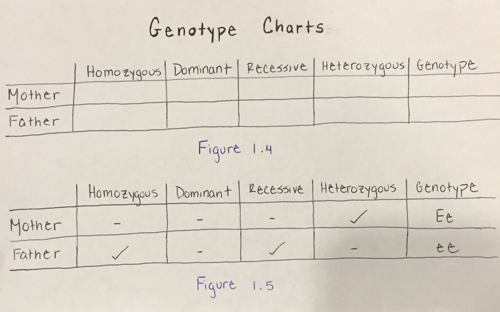 Using Punnett Squares to Calculate Phenotypic Probabilities : 6 Steps ...