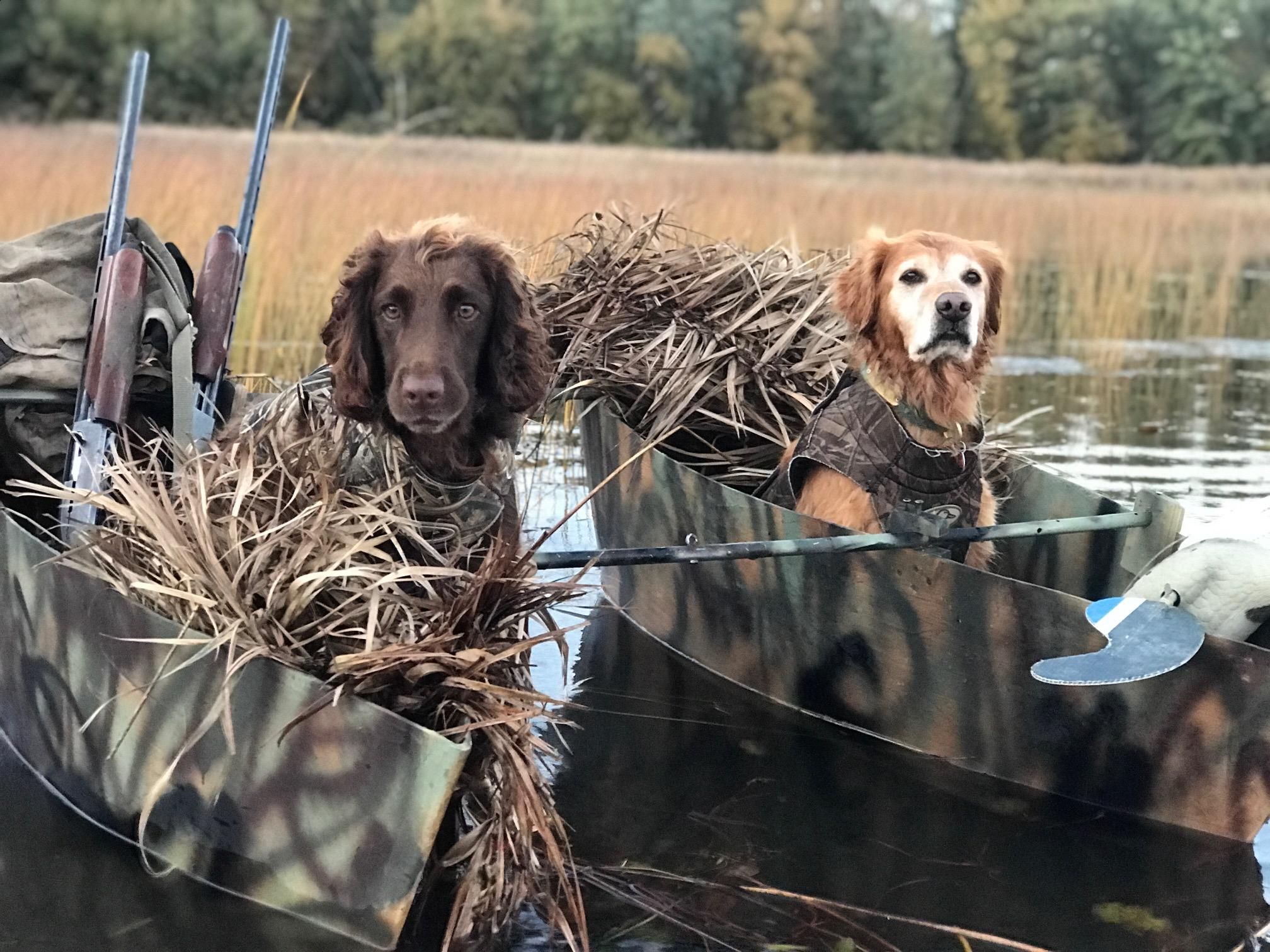 2-Dog Backpack Boat: the Dogmaran : 13 Steps (with Pictures ...