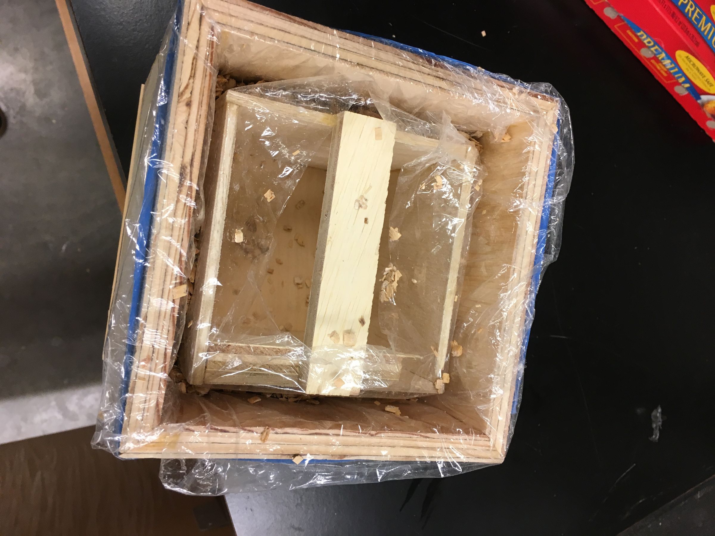Mycelium Molds : 5 Steps (with Pictures) - Instructables