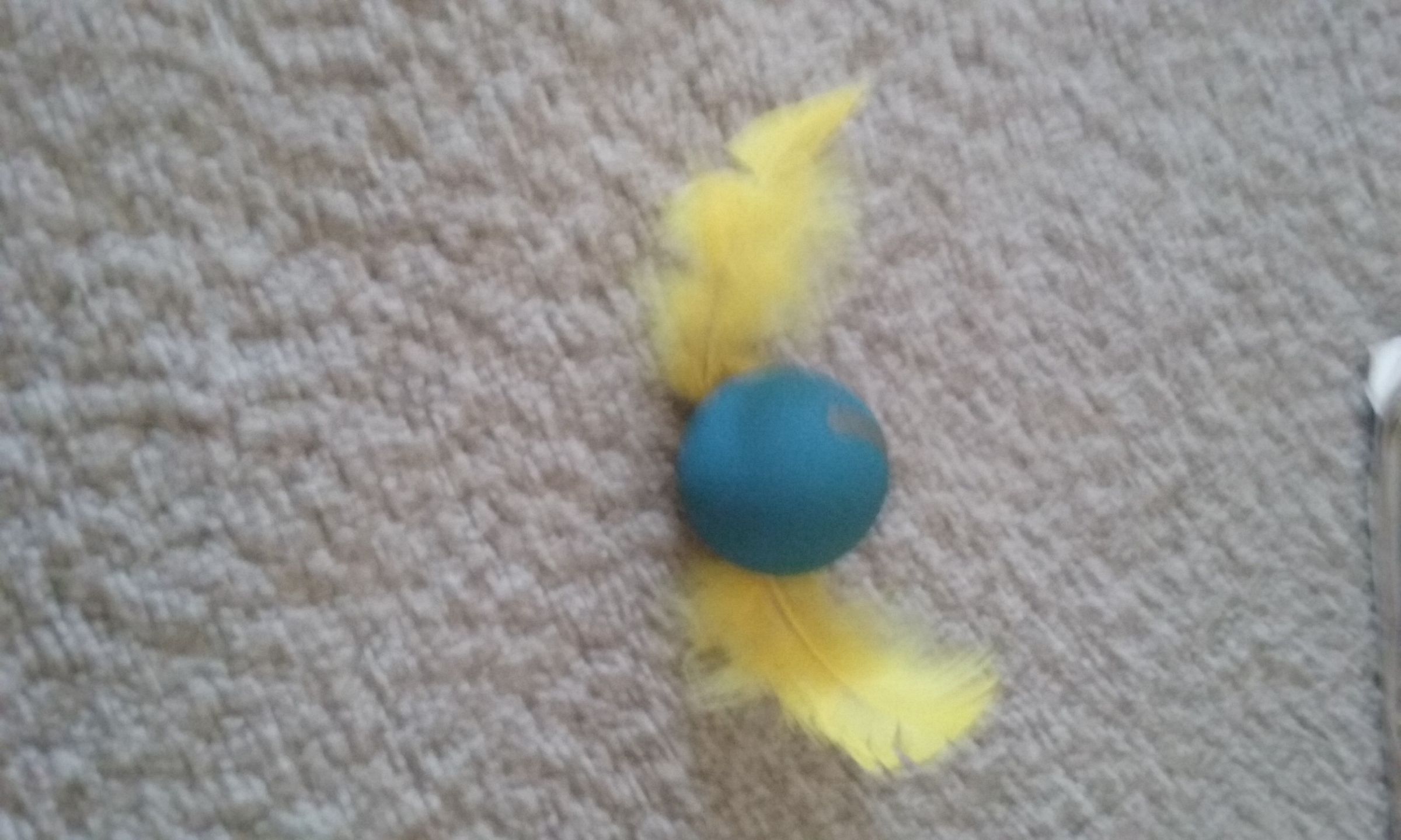 How to Play Quidditch : 9 Steps - Instructables