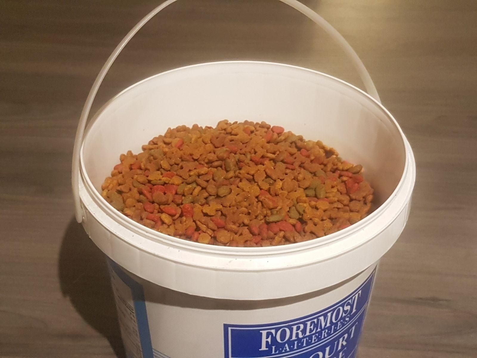 DIY UPCYCLED WILDLIFE FEEDER : 4 Steps - Instructables