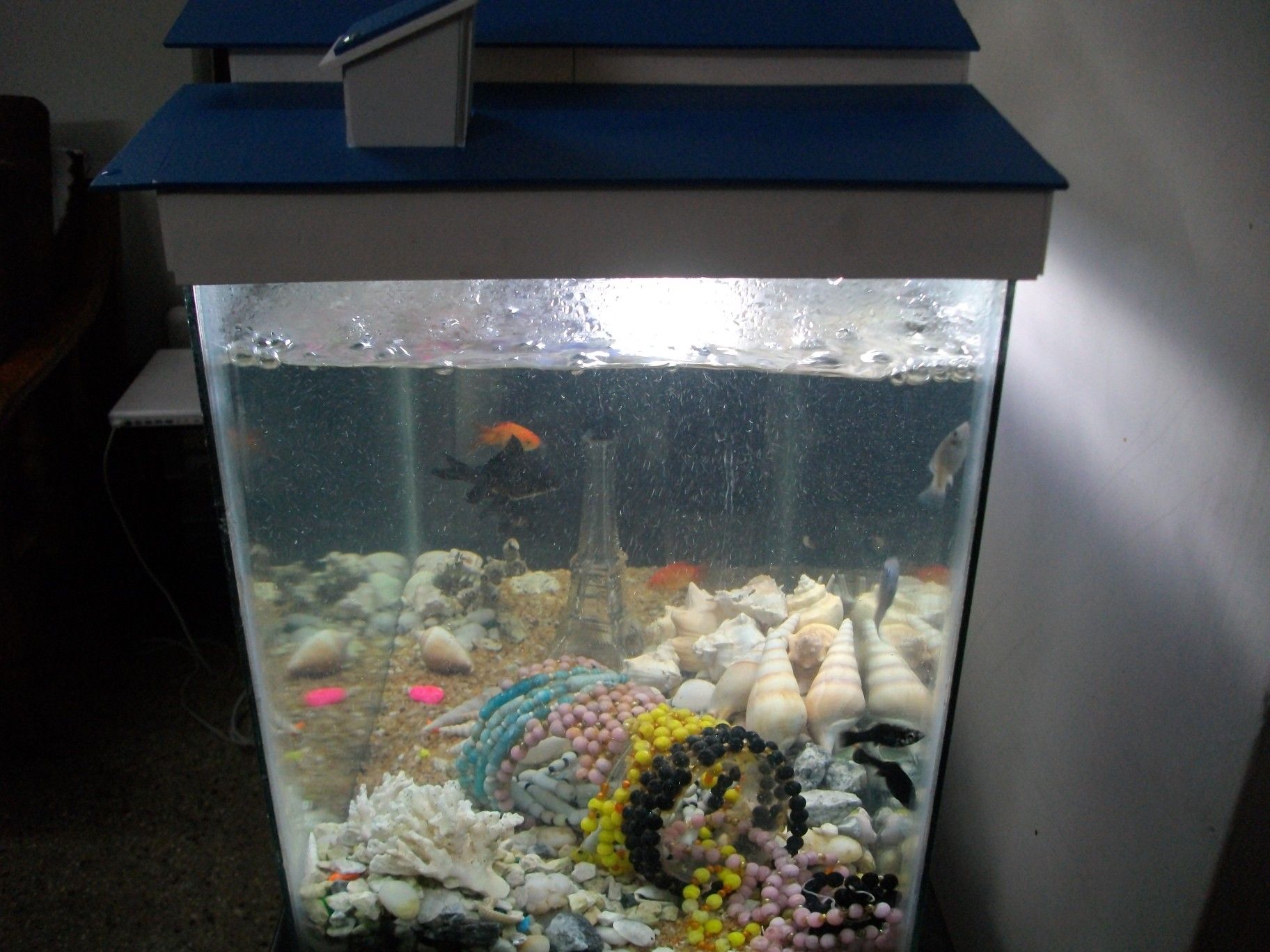 Decorative Tunnel-home for Fish in Your Aquarium : 3 Steps - Instructables