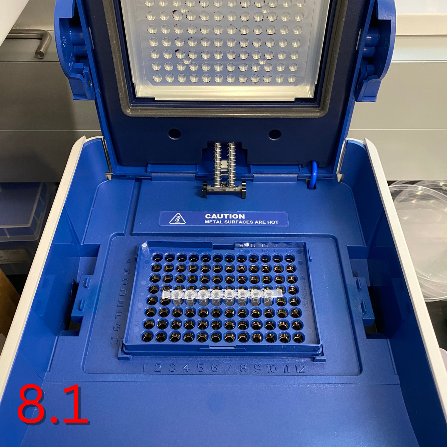 Mastering Molecular Cloning: a Guide to Polymerase Chain Reaction (PCR ...