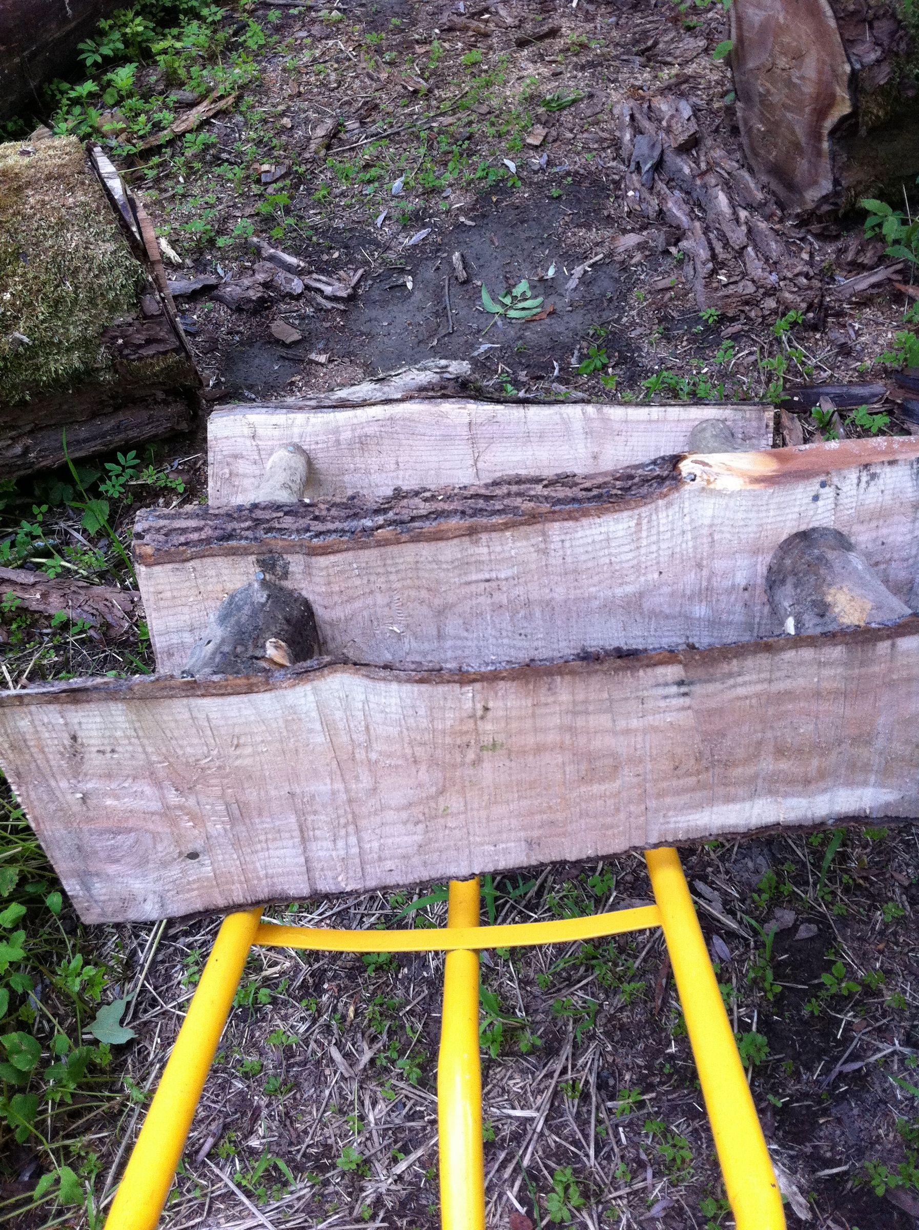 Museum Shelf Project : 4 Steps (with Pictures) - Instructables