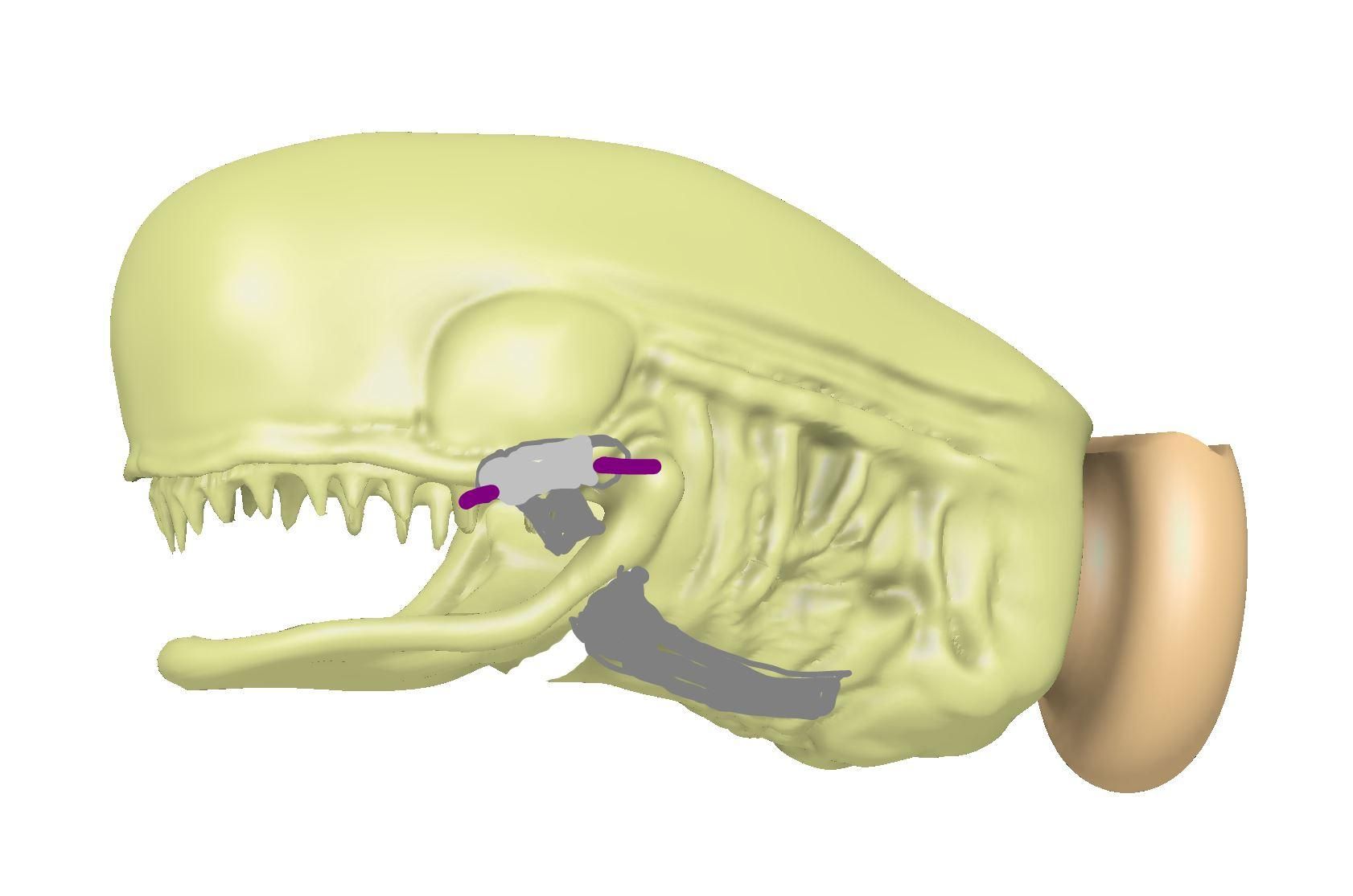 Alien Chestburster That MOVES! : 11 Steps (with Pictures) - Instructables