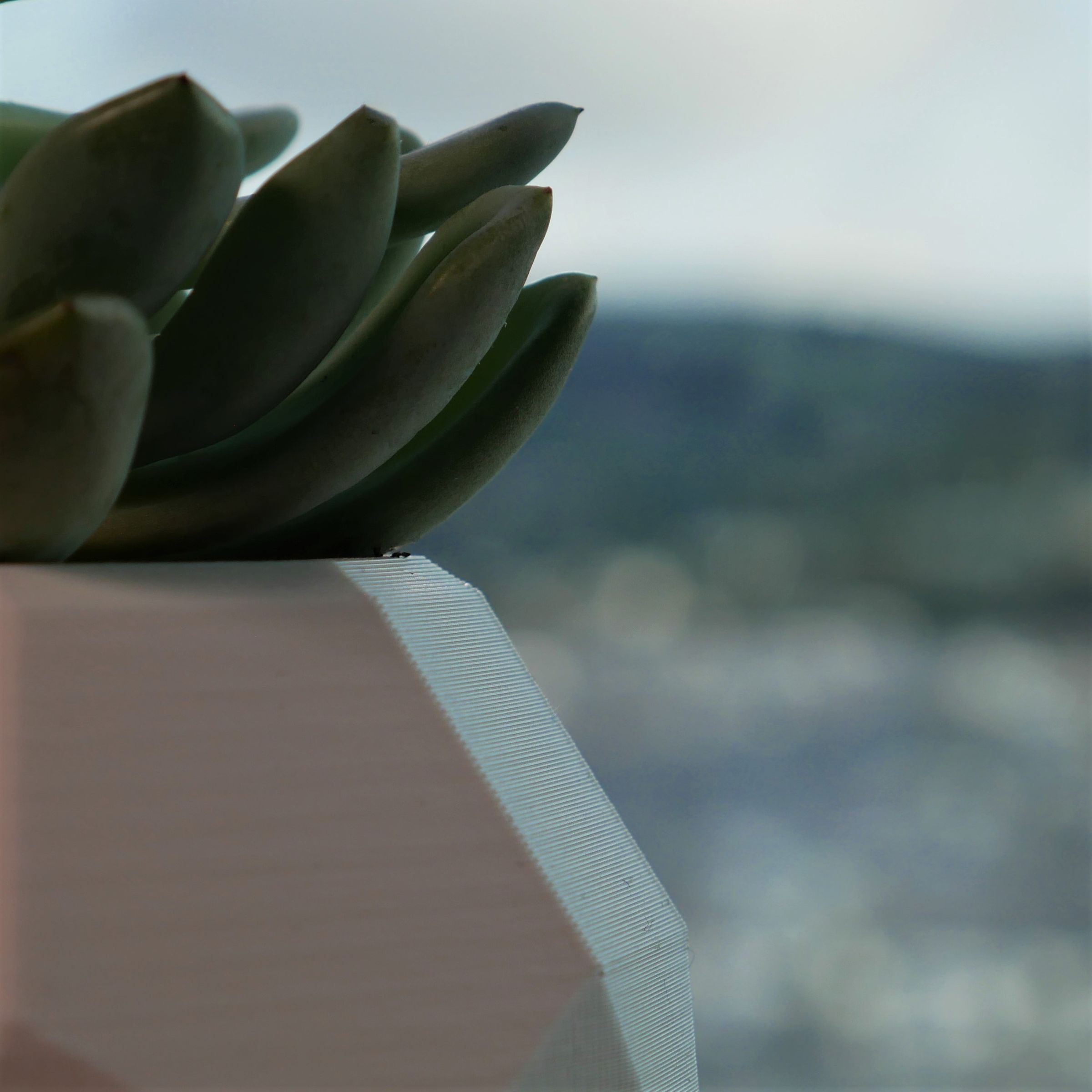 DIY Levitating Planter - CNC Version : 8 Steps - Instructables