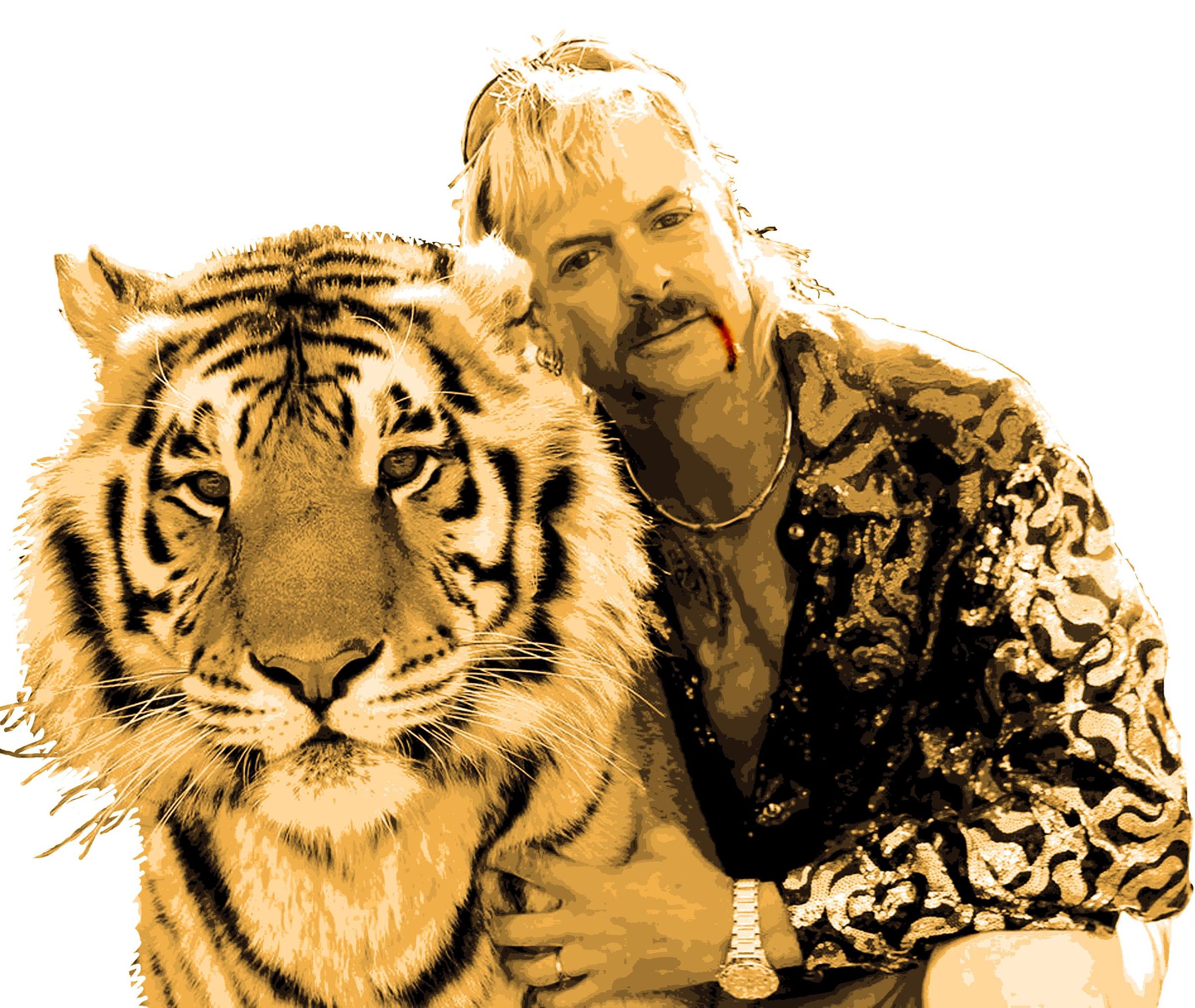 Tiger King (Advanced Pumpkin Carving) : 8 Steps (with Pictures ...
