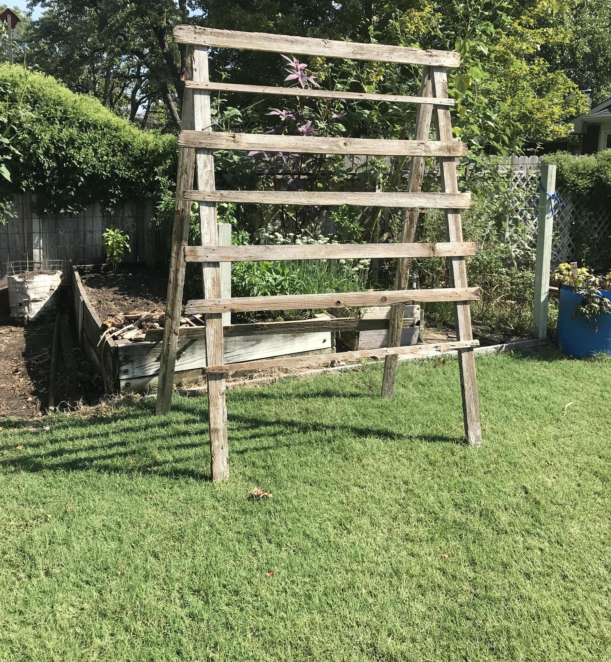 Bean Ladder : 4 Steps (with Pictures) - Instructables