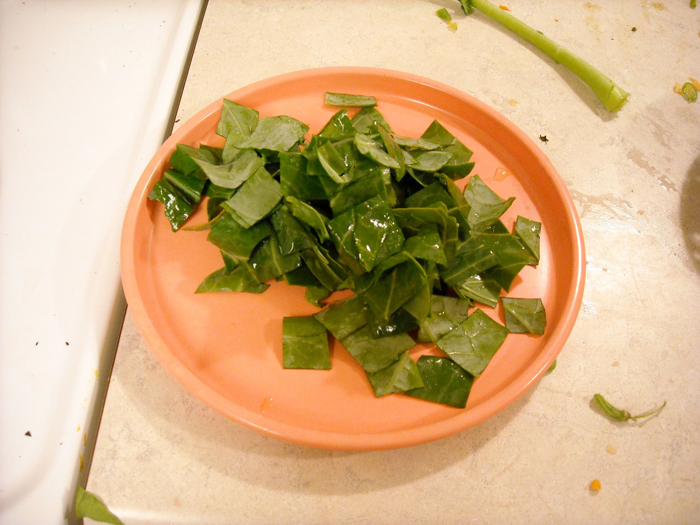 Basic Care Instructions for the Green Iguana : 6 Steps - Instructables