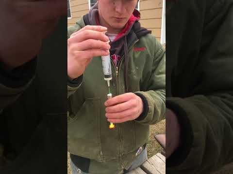 Dart Gun Vaccination : 9 Steps - Instructables