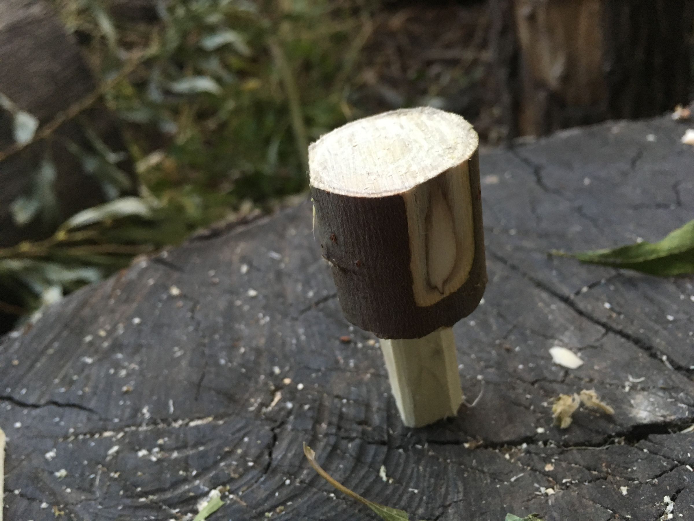 5 Super-easy Branch Carving Projects : 10 Steps (with Pictures ...