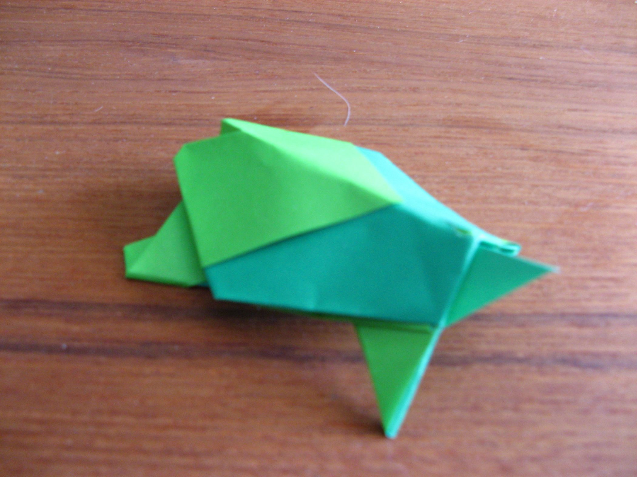 Carl's Turtle : 4 Steps - Instructables
