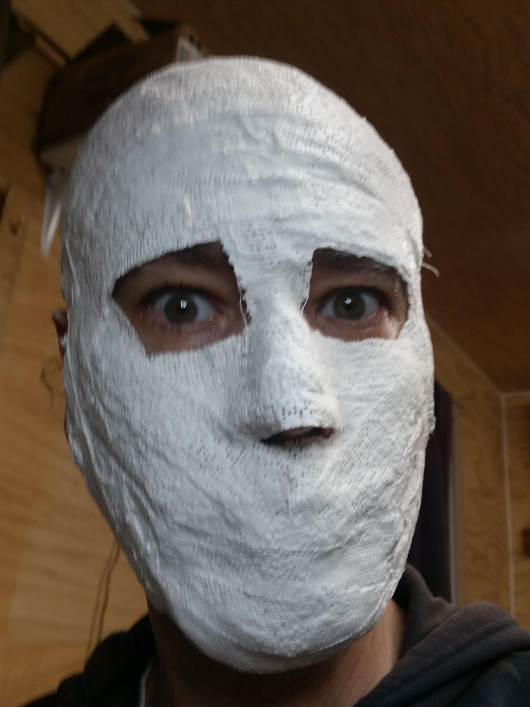 Cookie Monster - Hellraiser Cookie Mask : 12 Steps (with Pictures ...