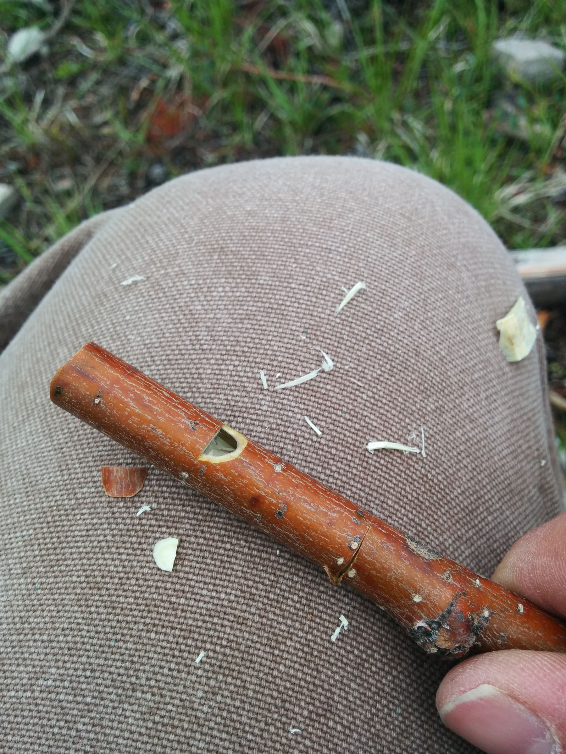 Stick Bark Whistle : 10 Steps (with Pictures) - Instructables
