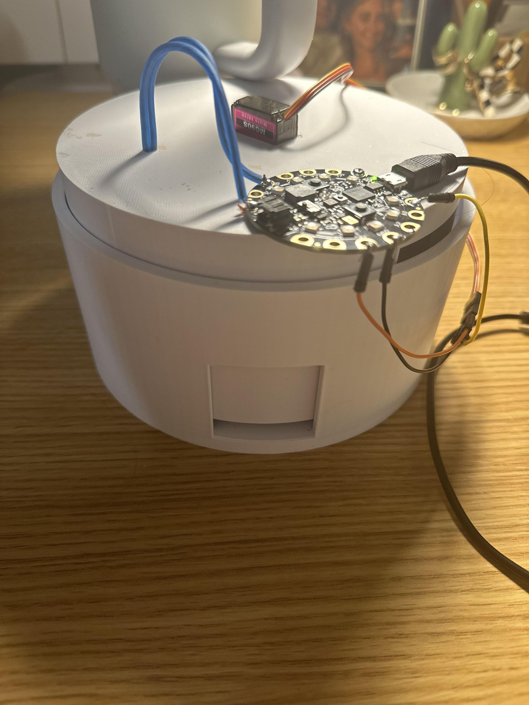 New and Improved Mouse Trap : 6 Steps - Instructables