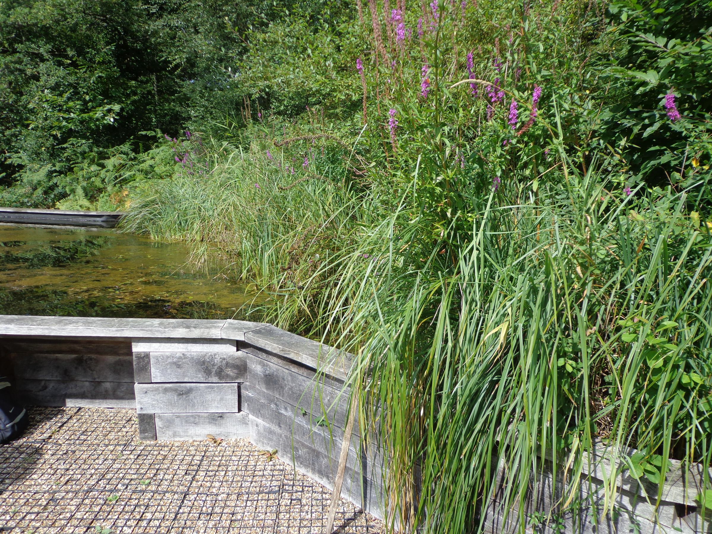 Raised Pond for Wheelchair Users : 9 Steps (with Pictures) - Instructables