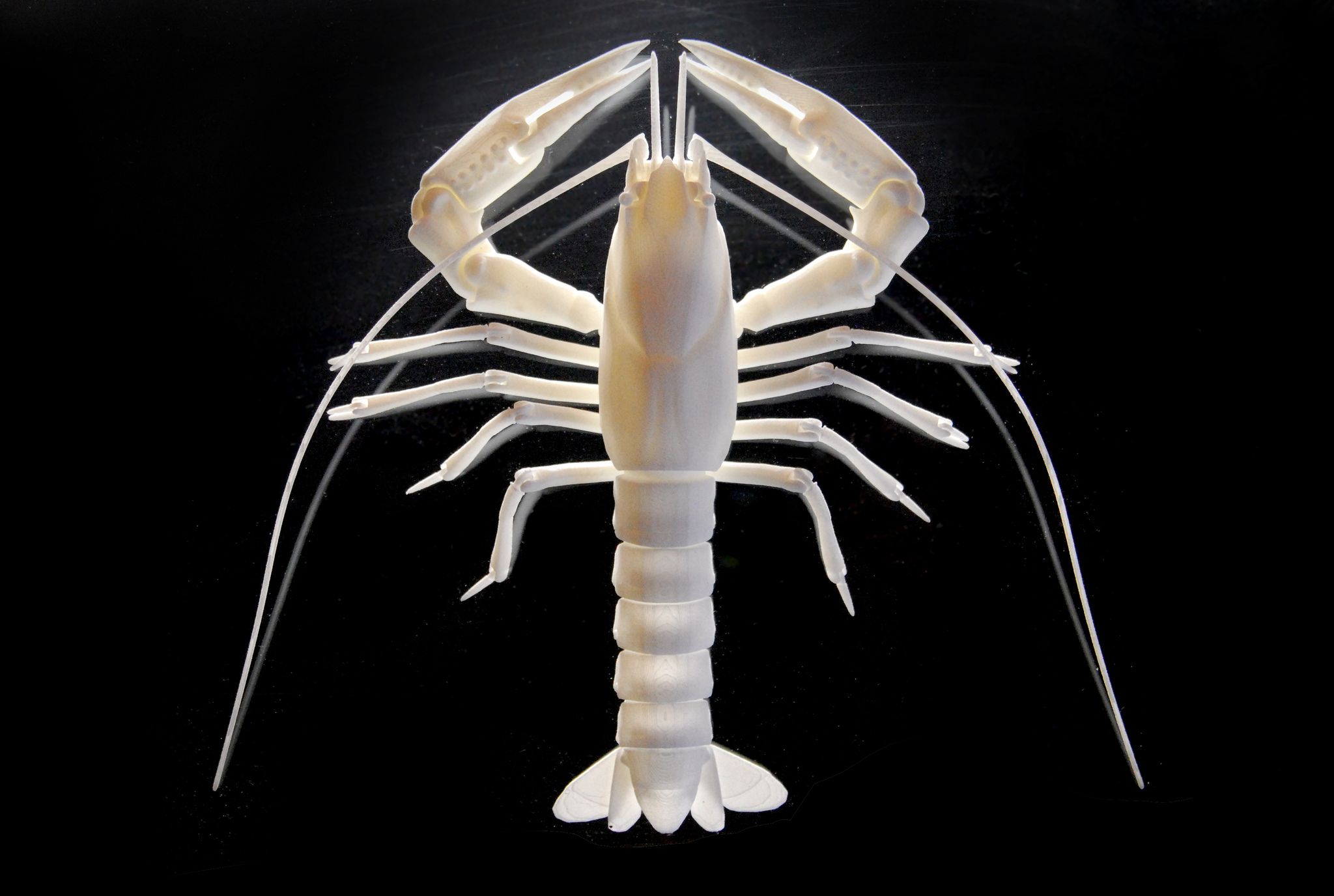How to Create 3d Printable Articulated Sculptures : 11 Steps (with ...