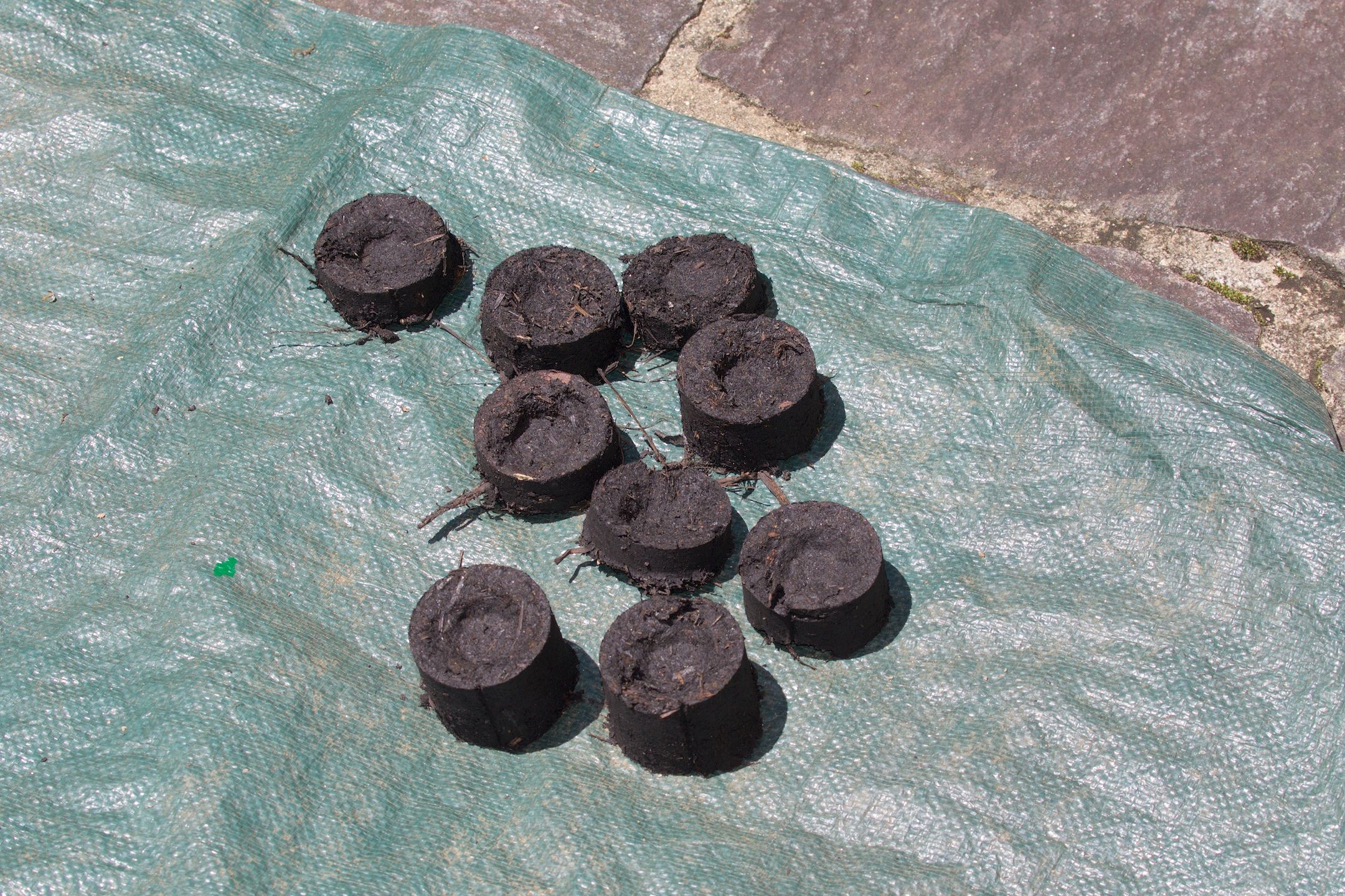 Biomass Briquette : 6 Steps (with Pictures) - Instructables