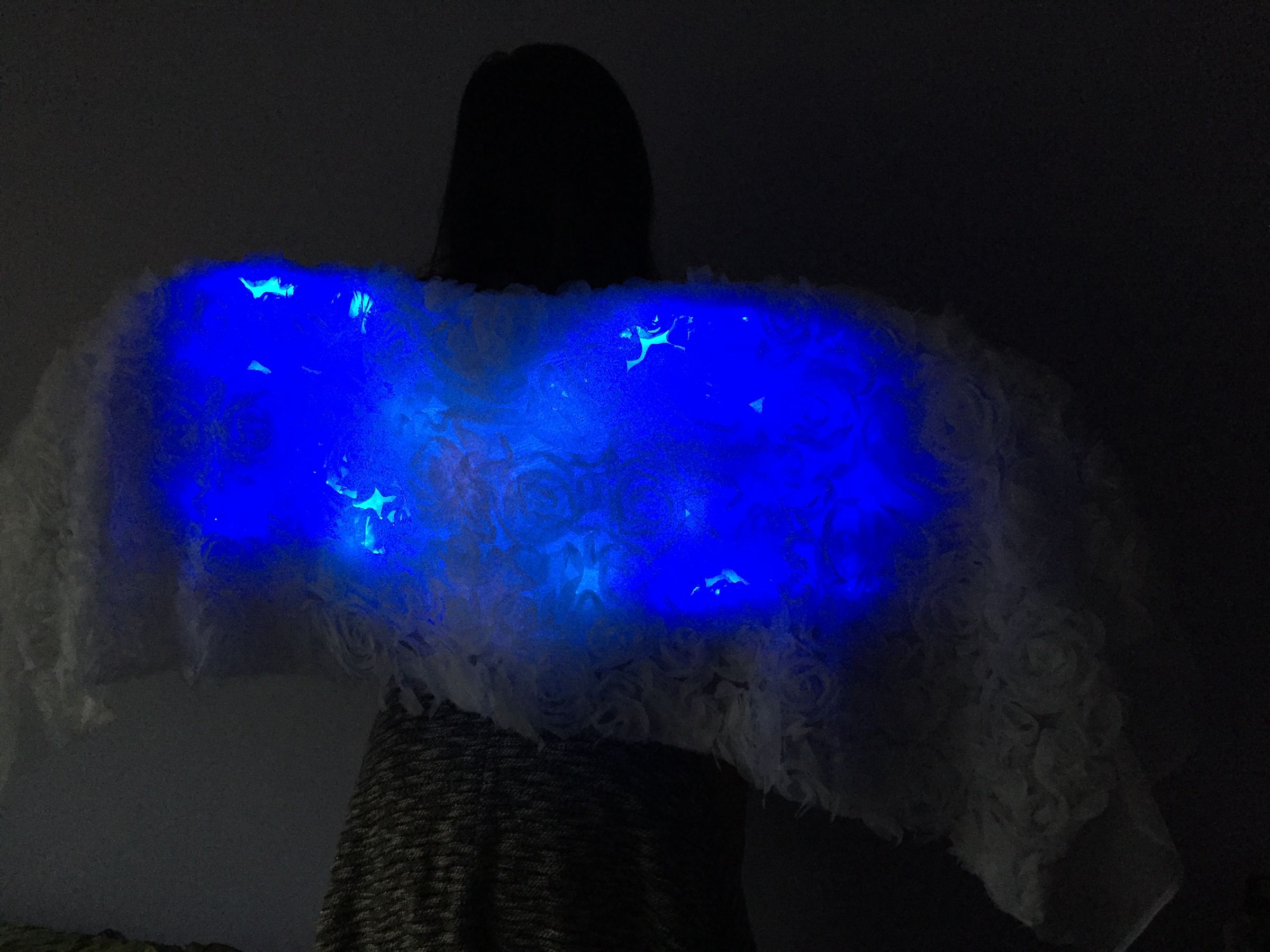 Neopixel Light Up Fire and Ice Wings : 4 Steps (with Pictures ...