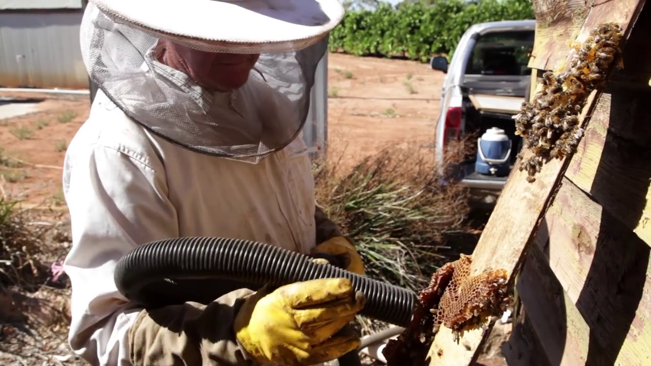 How to Build a Bee Vacuum : 9 Steps (with Pictures) - Instructables