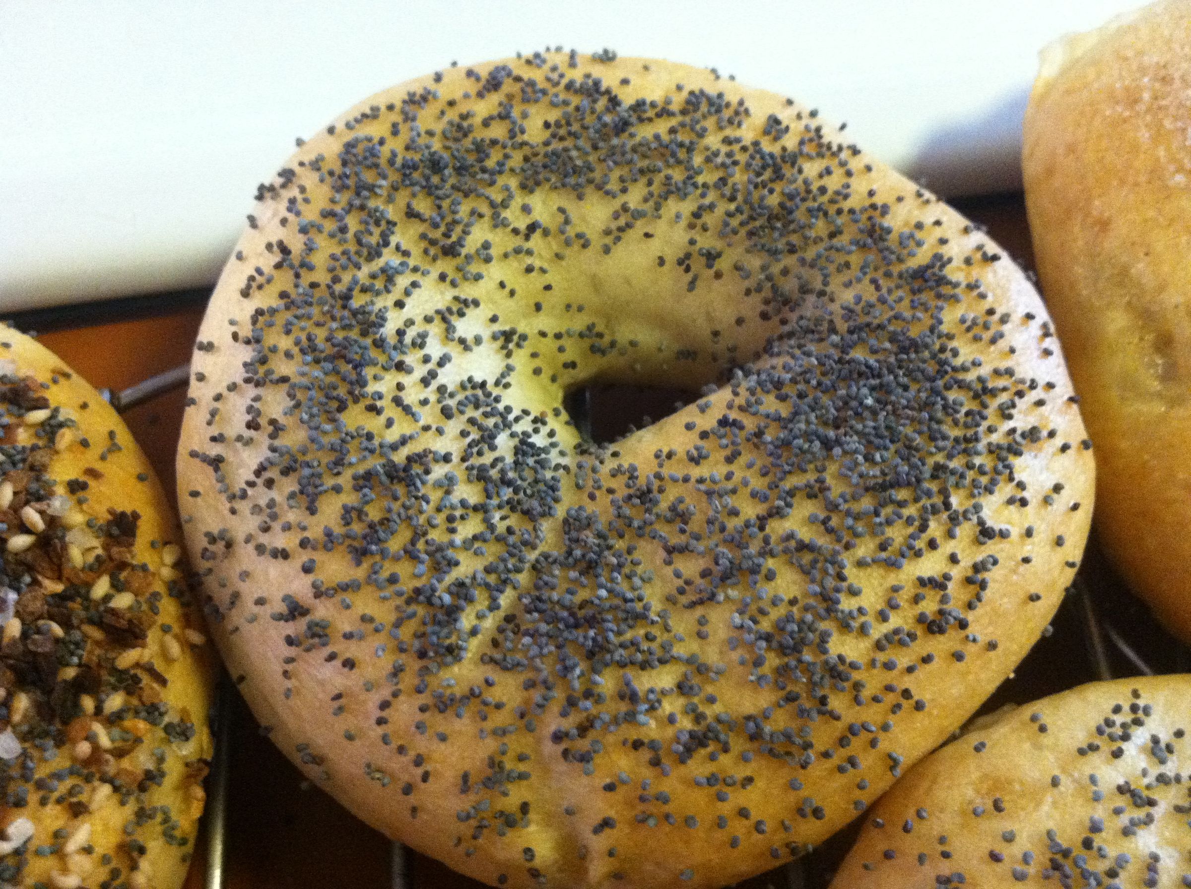 Basic Bagel Recipe ("Water Bagels")! : 8 Steps (with Pictures) - Instructables