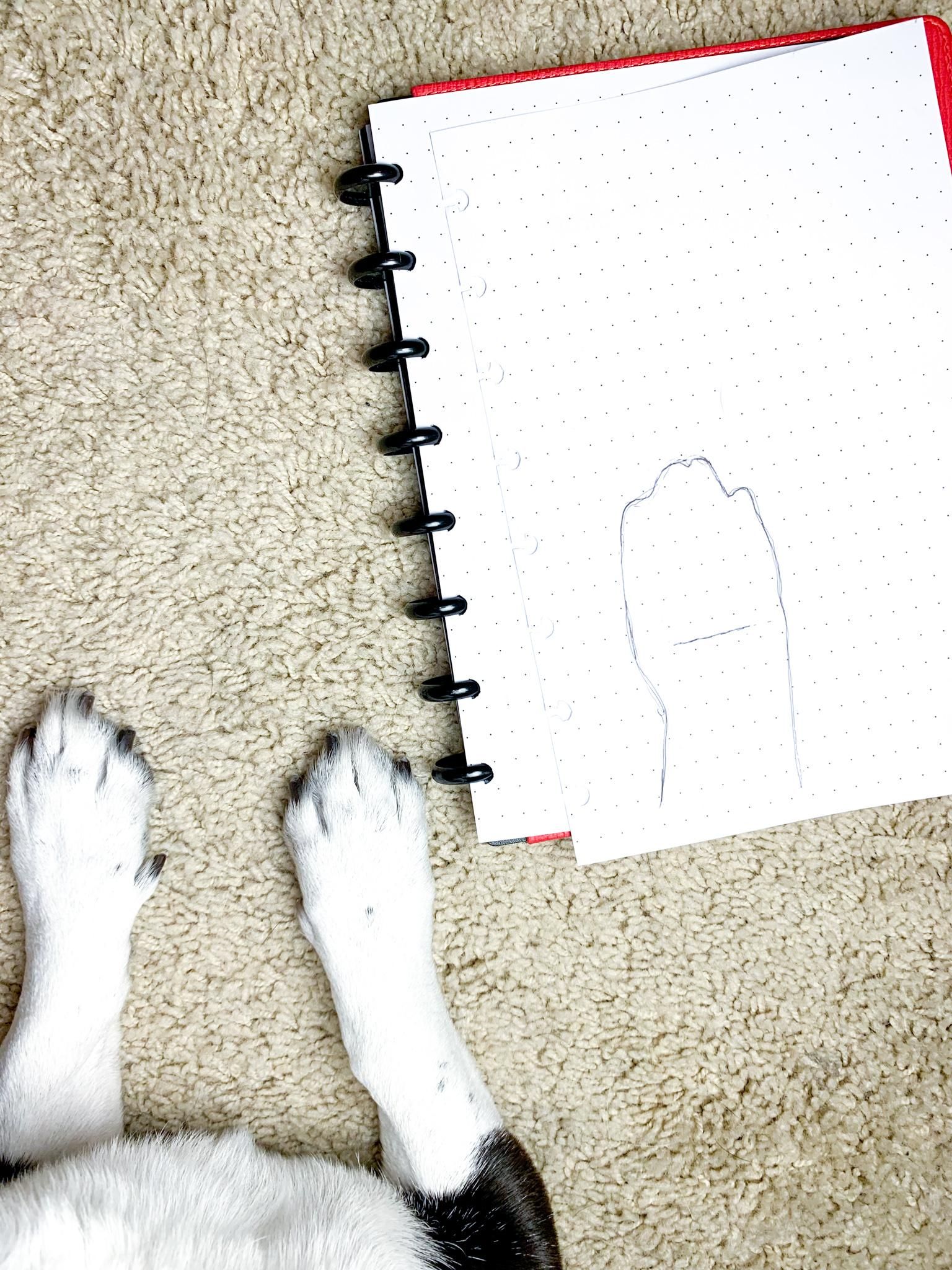 Dog Shoes : 9 Steps (with Pictures) - Instructables