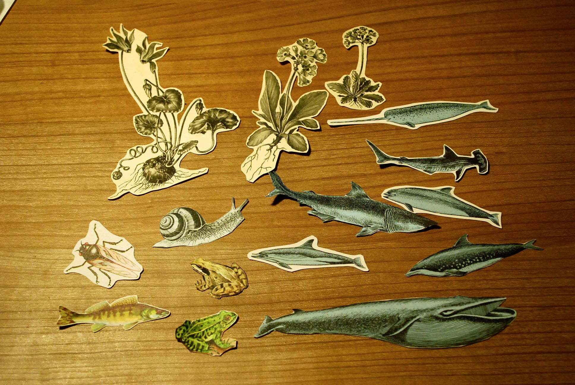 Recycle Old Books Into Stickers : 11 Steps (with Pictures) - Instructables