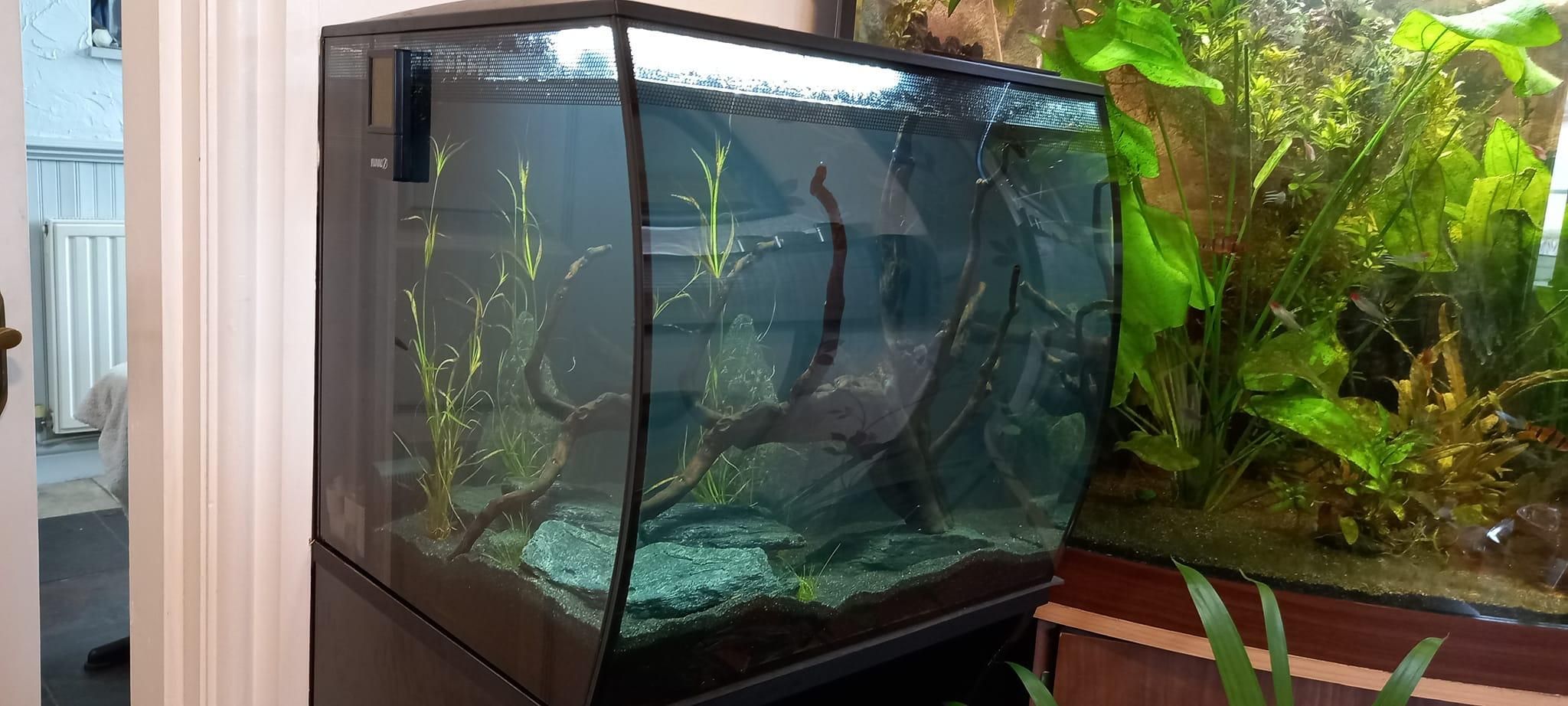 Dark and Eerie Fish Tank : 18 Steps (with Pictures) - Instructables