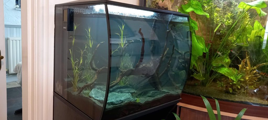 Dark and Eerie Fish Tank : 18 Steps (with Pictures) - Instructables