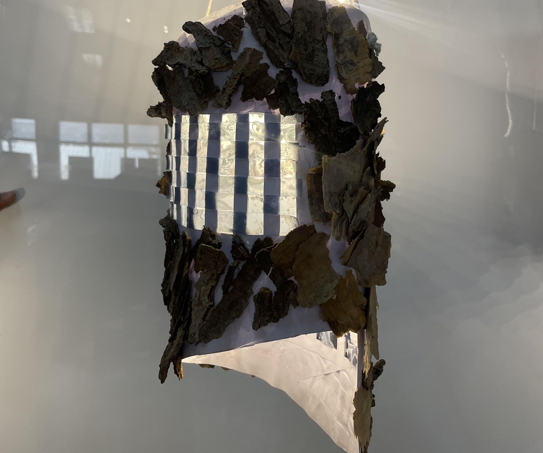 Biodegradable Luminaire : 5 Steps - Instructables