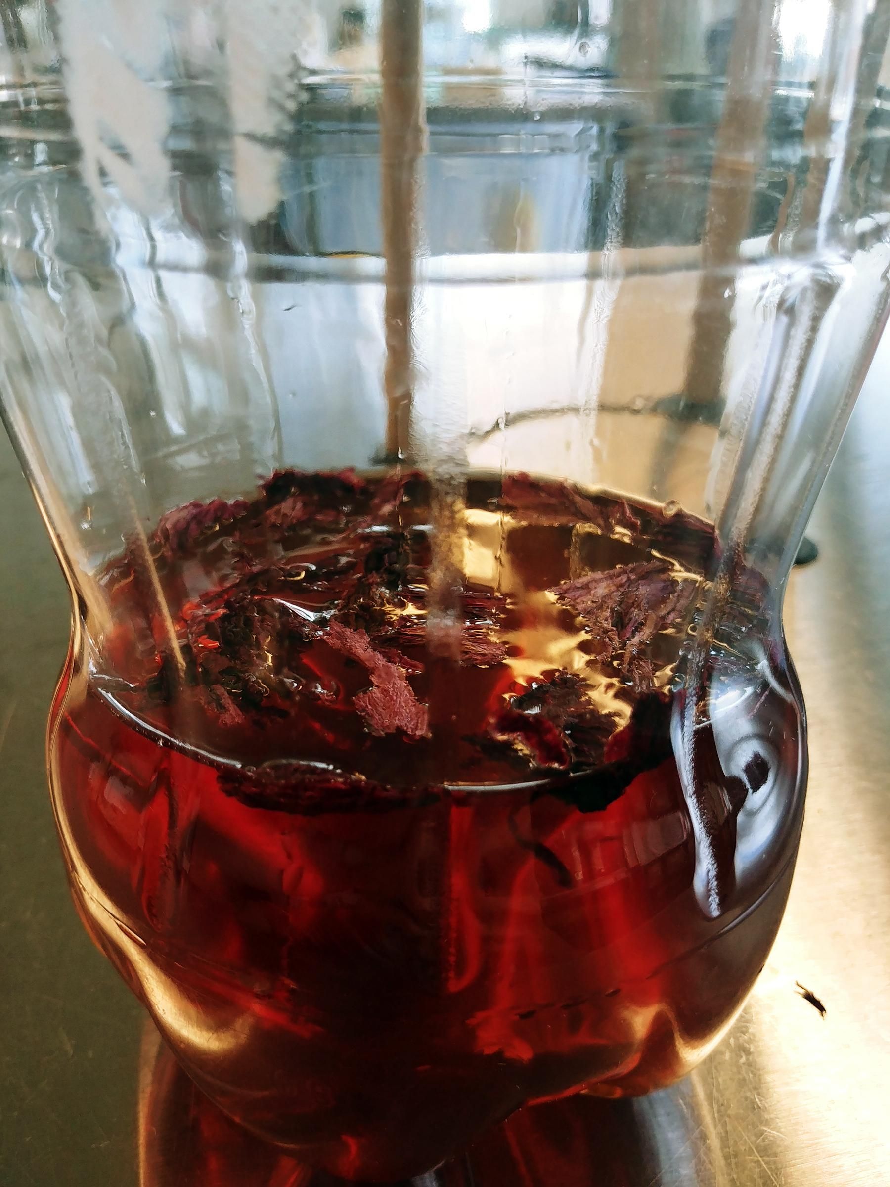 DIY Kombucha - Bacterial Cellulose Fermentor : 19 Steps (with Pictures ...