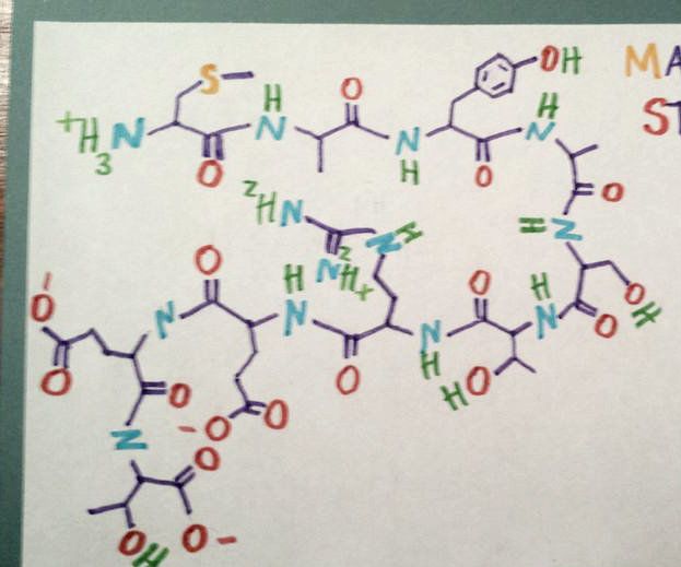 How to Draw Peptide Chains : 18 Steps (with Pictures) - Instructables
