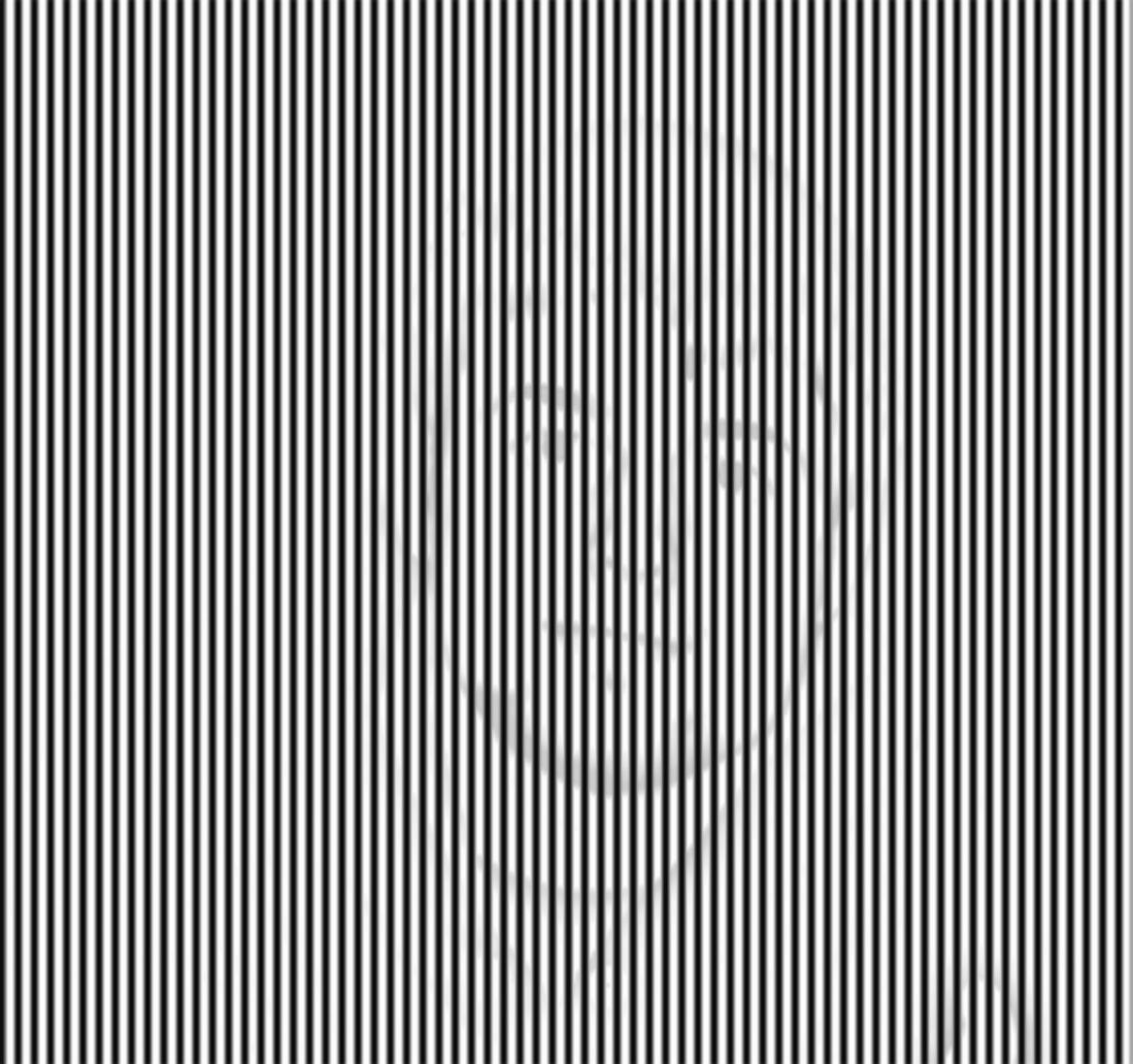 Hidden Photo Optical Illusion : 4 Steps - Instructables