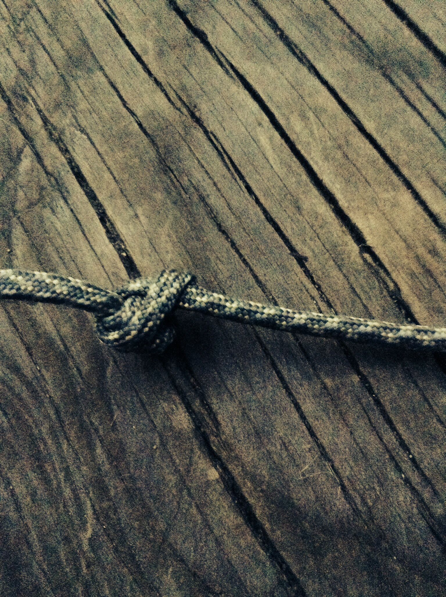 How to Make a Survival Whip Bow : 6 Steps - Instructables