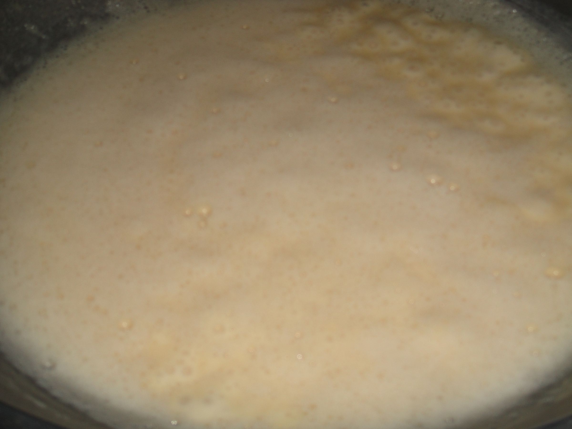 Pastillas De Leche (Philippine Soft Milk Candy) : 11 Steps (with ...