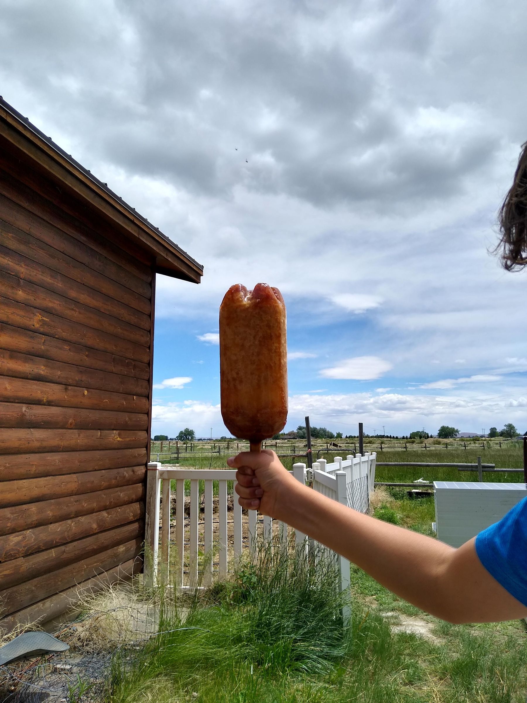 Giant Popsicle : 6 Steps - Instructables