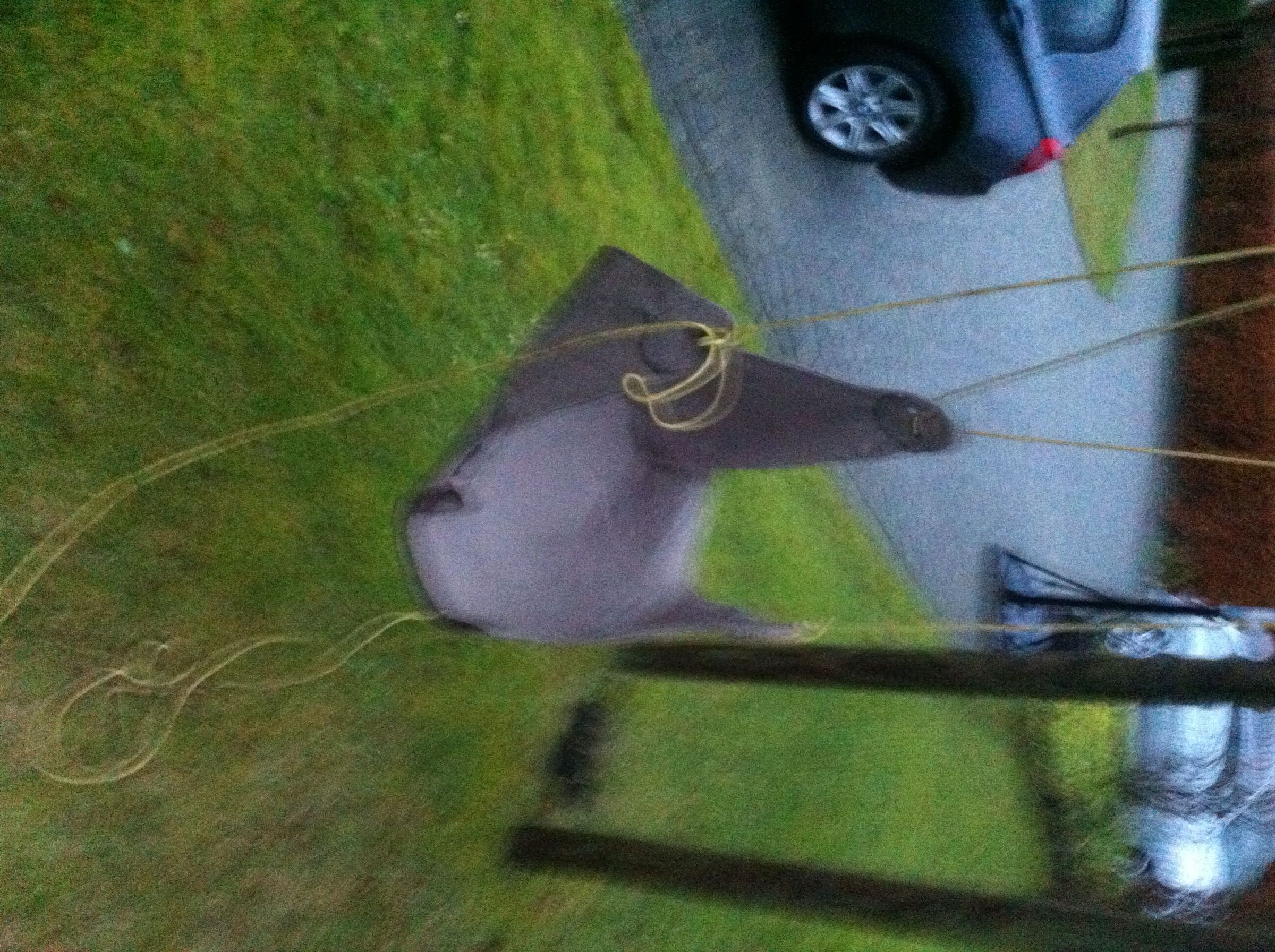 Carry Around Swing : 14 Steps - Instructables