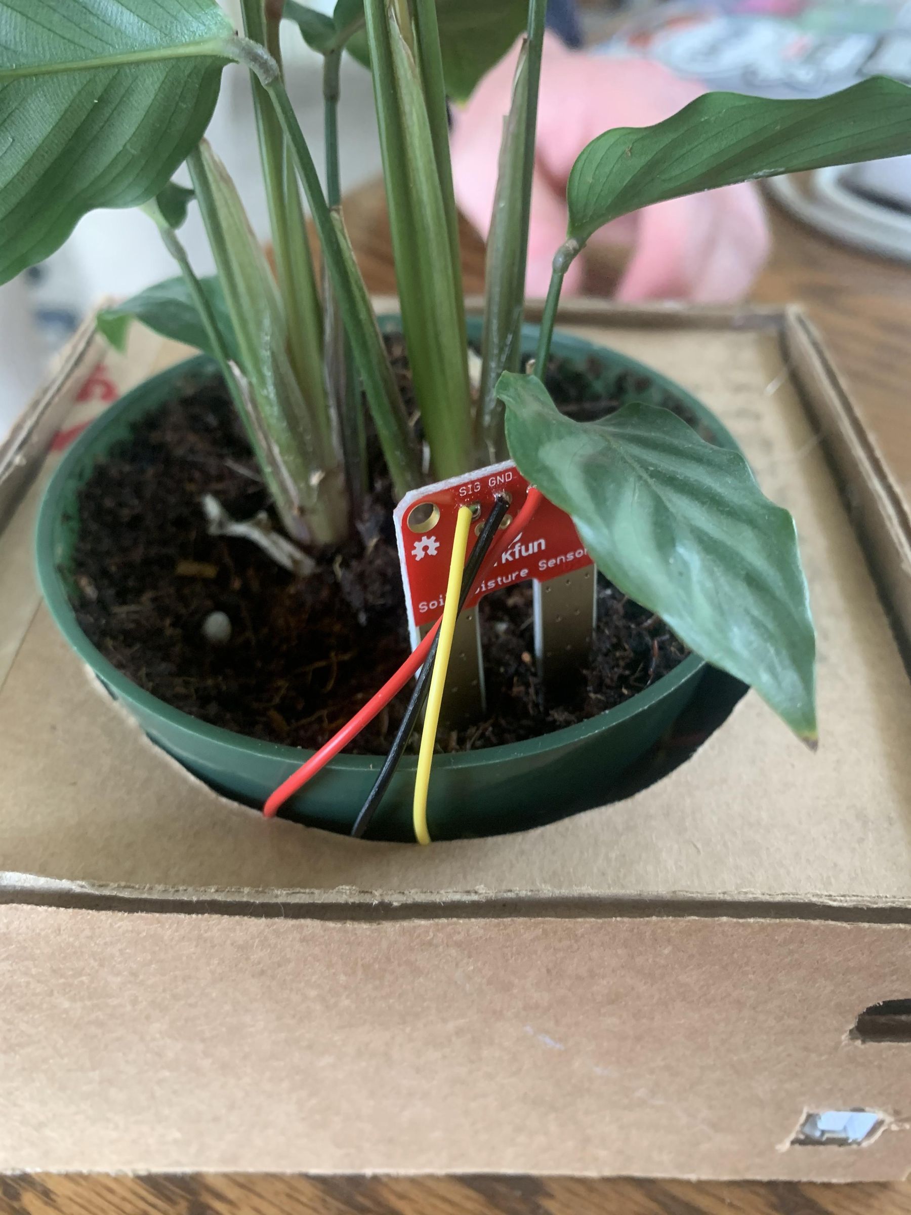Arduino Plant Monitoring Box : 5 Steps - Instructables