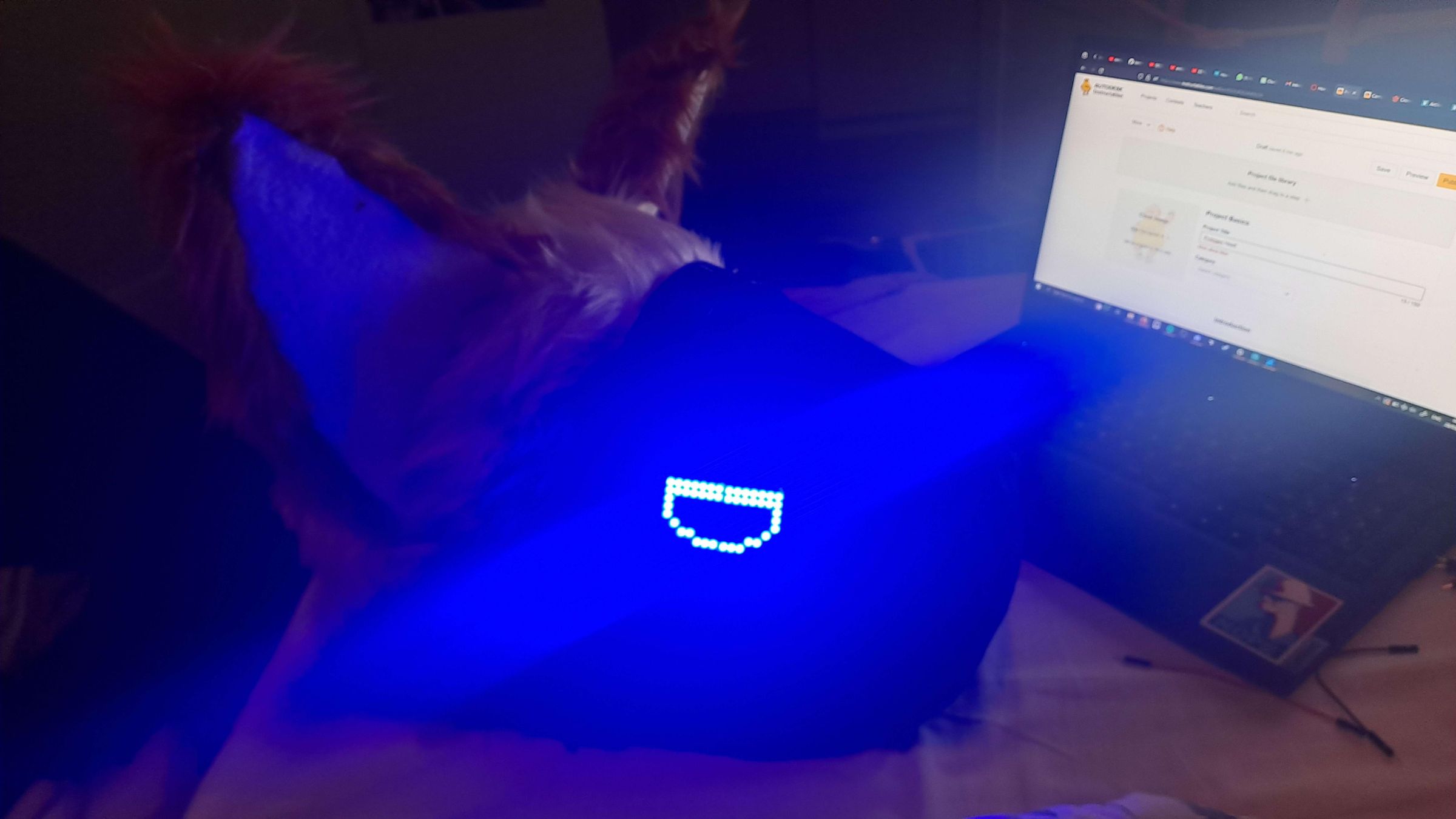 Protogen Head Voor De HKU : 9 Steps - Instructables