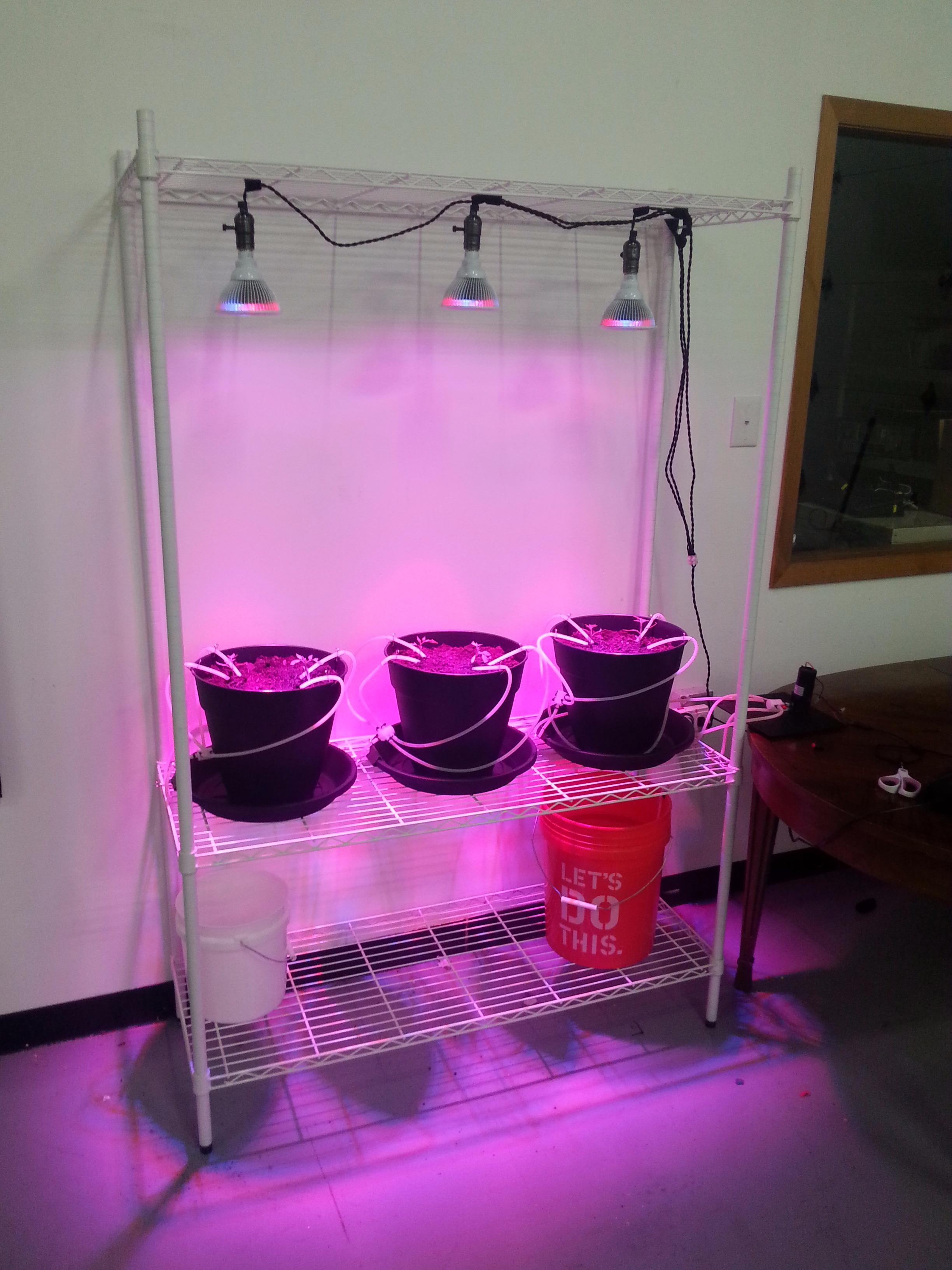 Automatic Plant Watering System With Arduino : 7 Steps (with Pictures ...