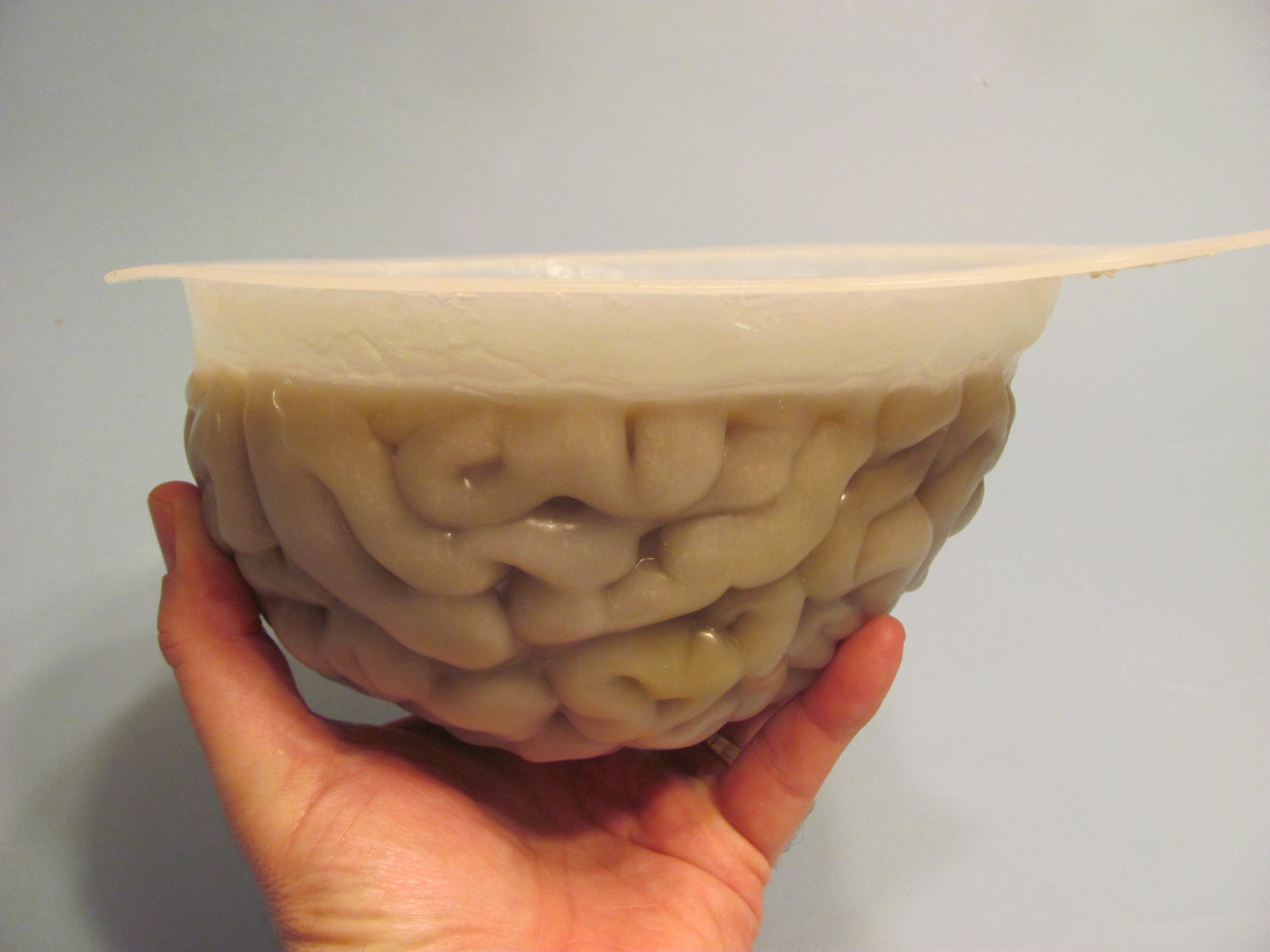 'Brain Food' (Jello Brain) : 8 Steps (with Pictures) - Instructables