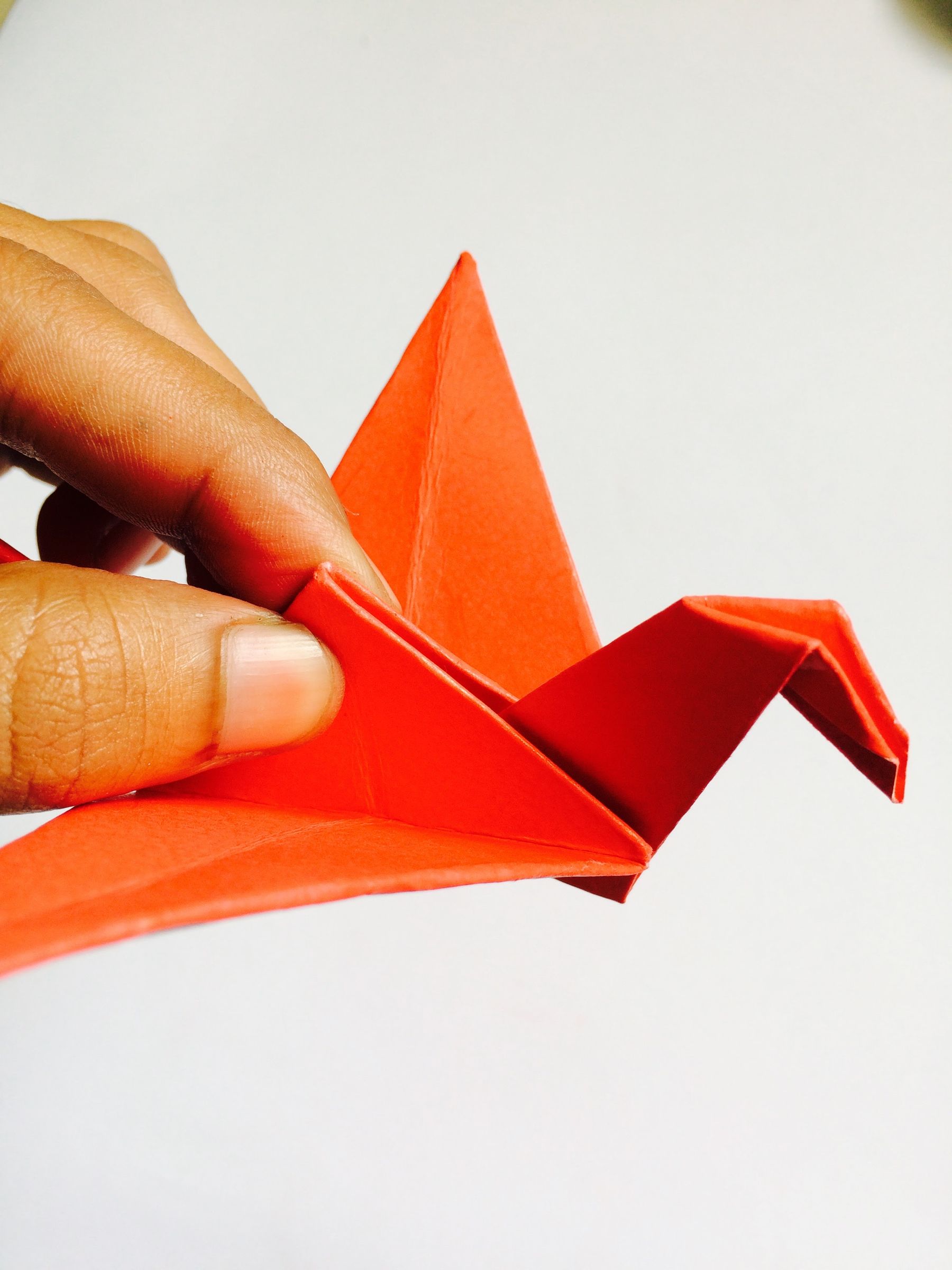 DIY: Flapping Bird : 6 Steps (with Pictures) - Instructables