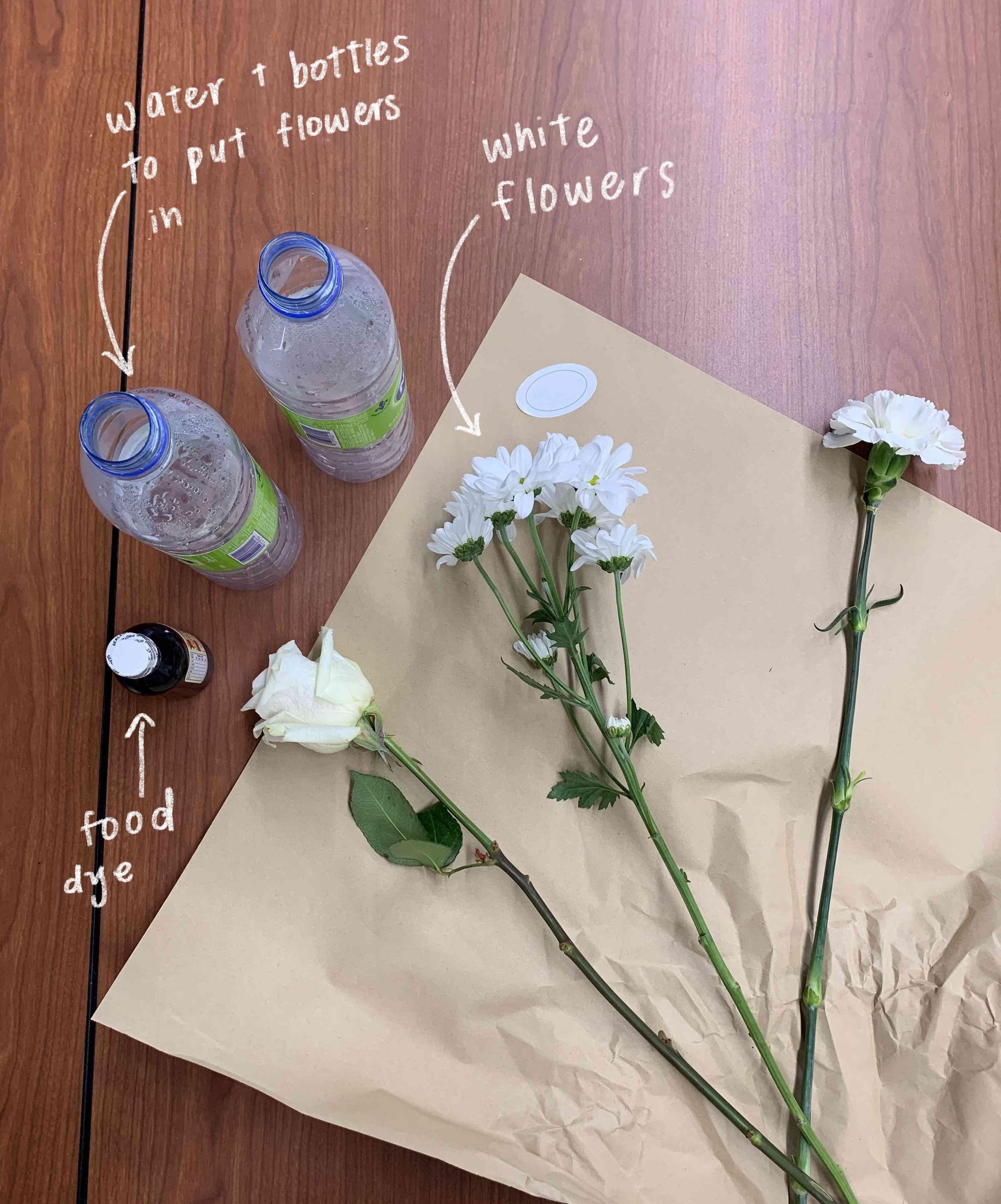 How to Dye Flowers Different Colours : 3 Steps - Instructables