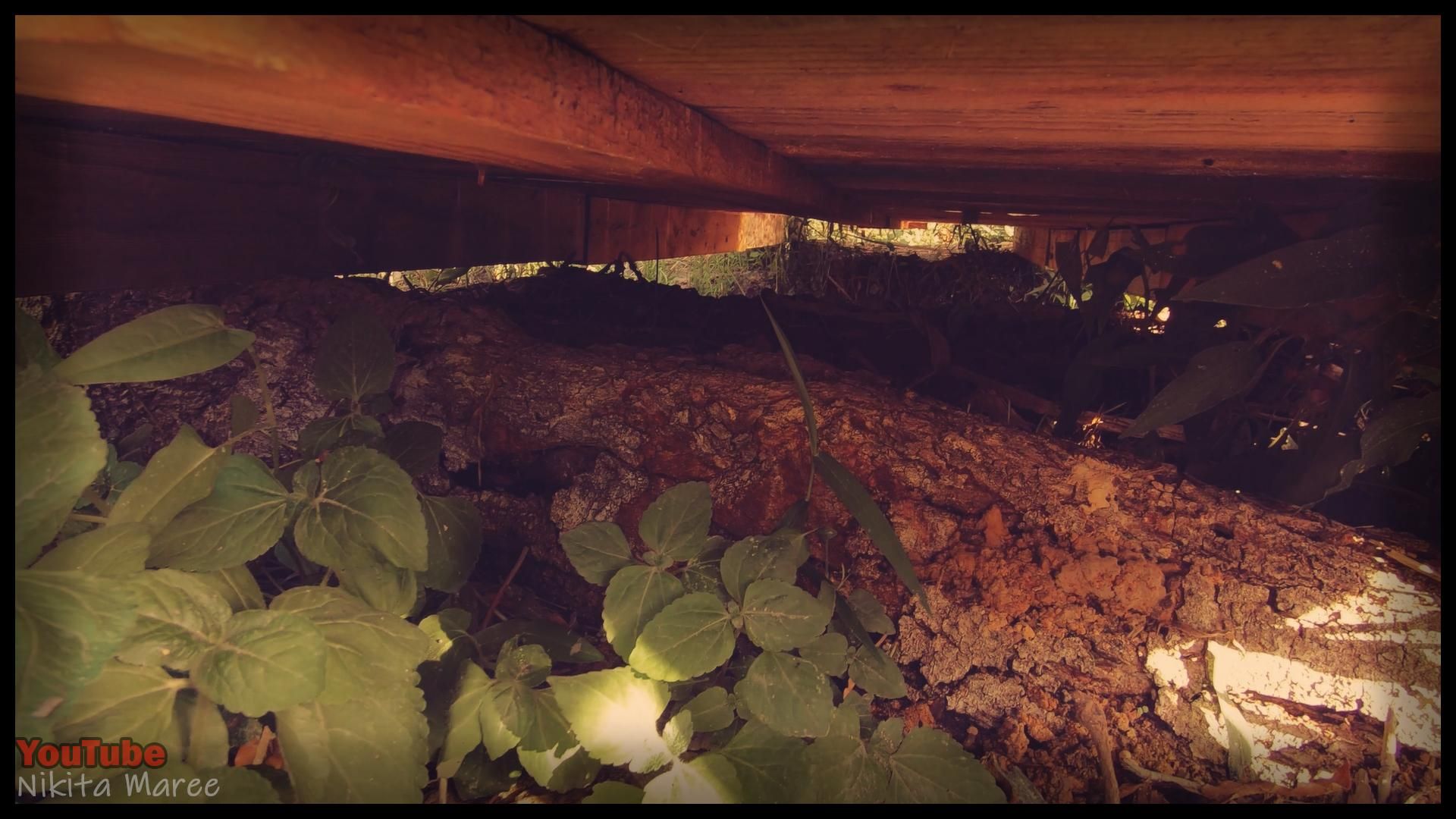 Pallet Wood Bridge : 29 Steps - Instructables