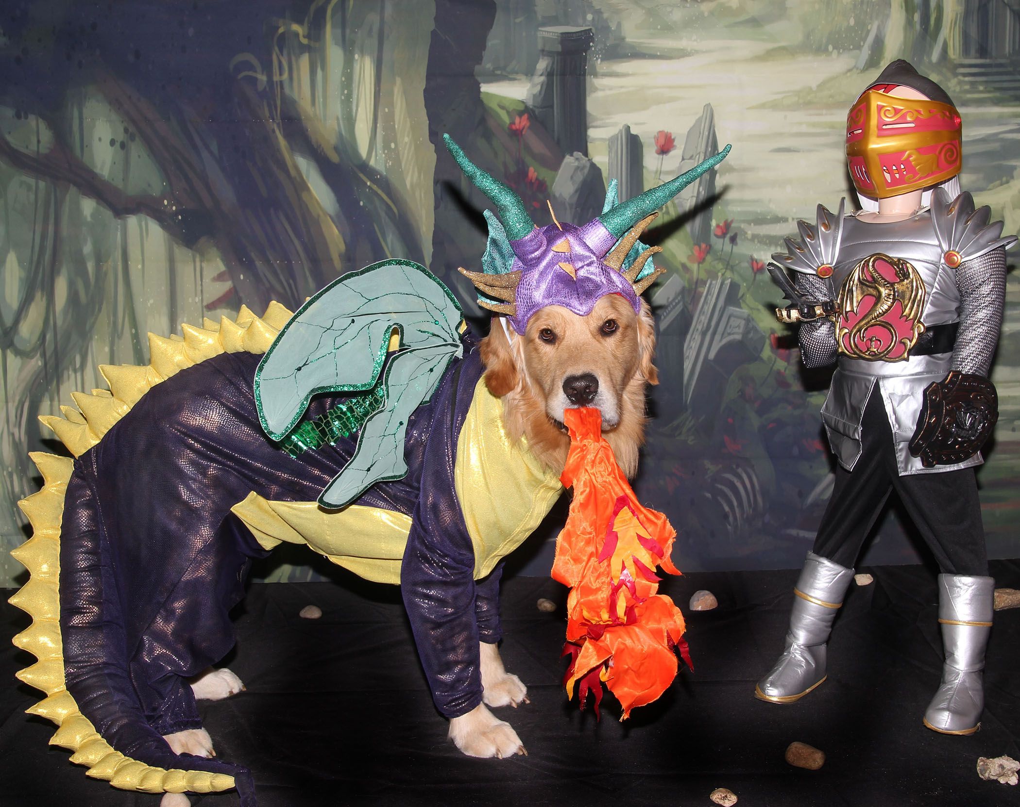 Fire Breathing Dragons Phoenix and Gryphon Fight a Knight : 3 Steps ...