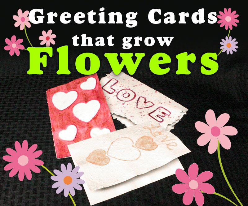 Flower Growing Greeting Cards : 9 Steps (with Pictures) - Instructables